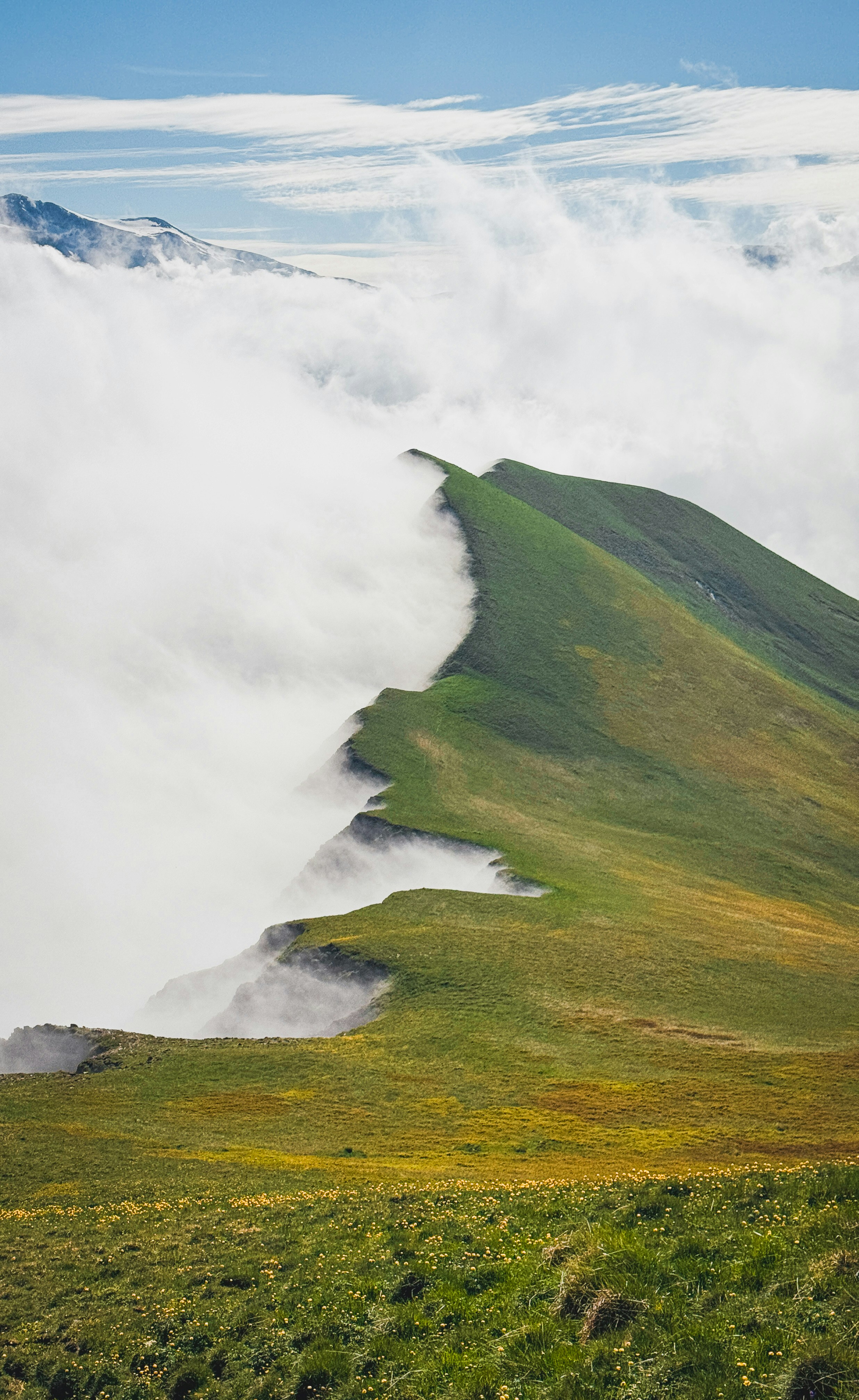 Verdant Ridge Piercing the Clouds