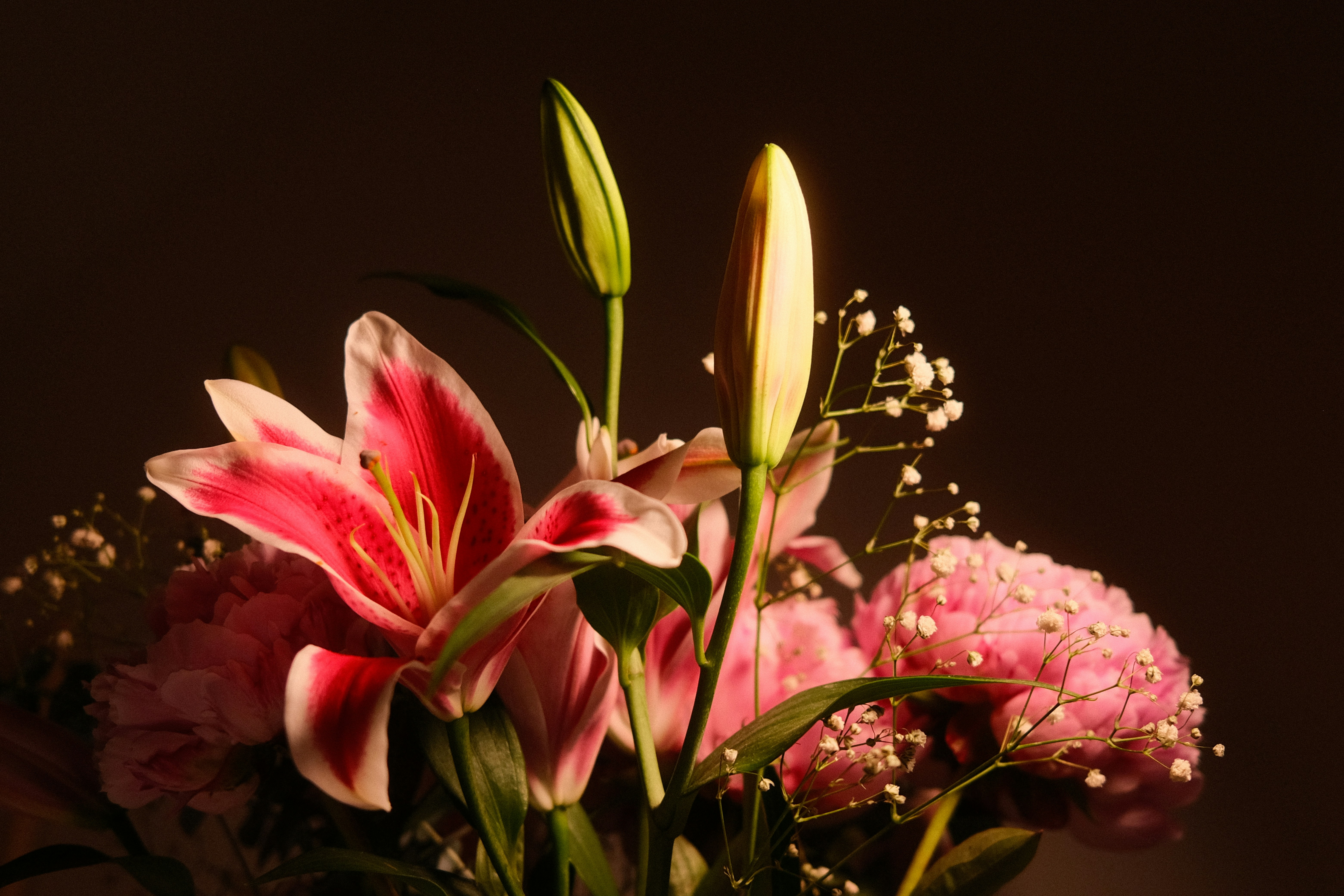 Luminous Lily Bouquet in Warm Spotlight