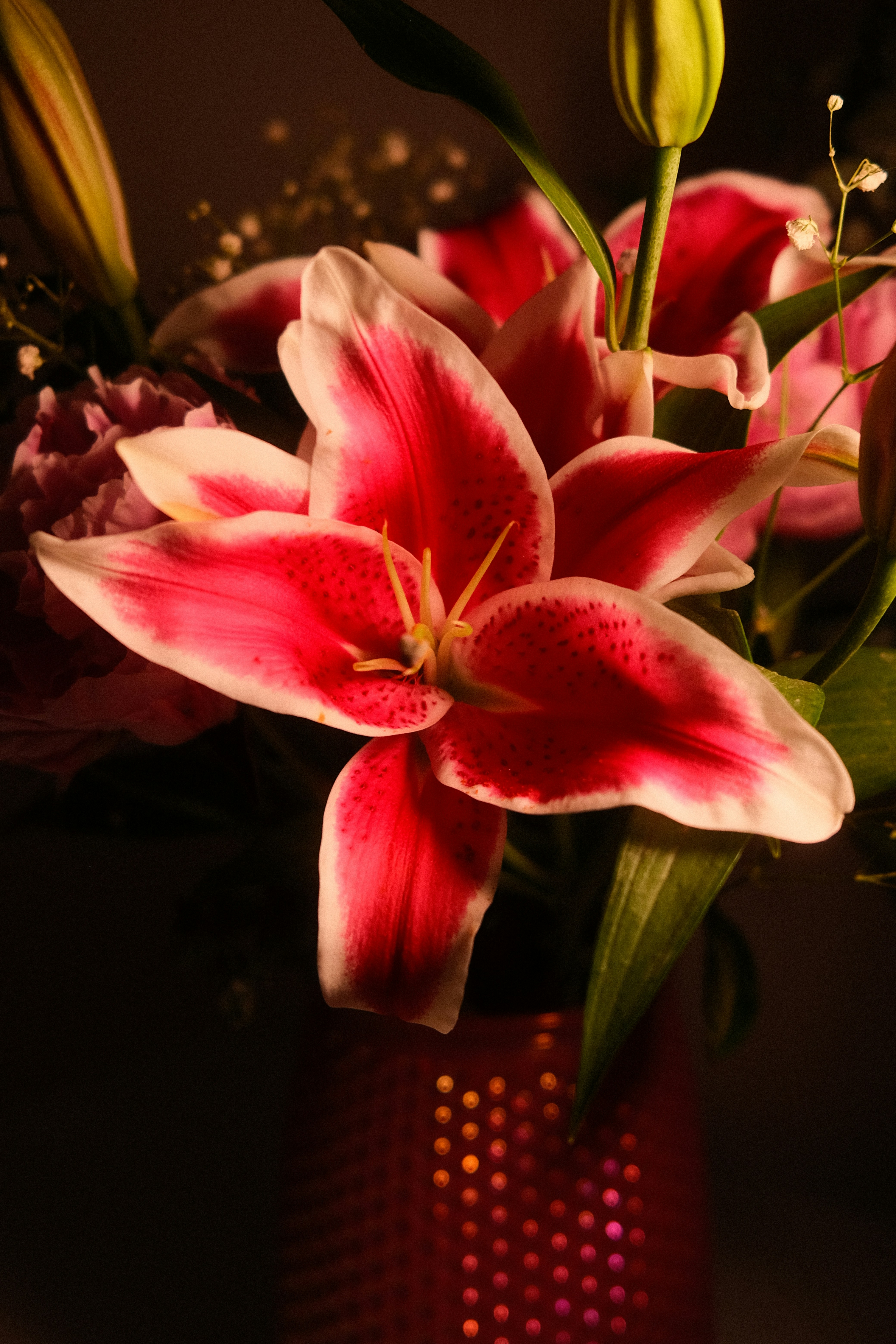 A Crimson Lily Medal of Light in a Quiet Vase