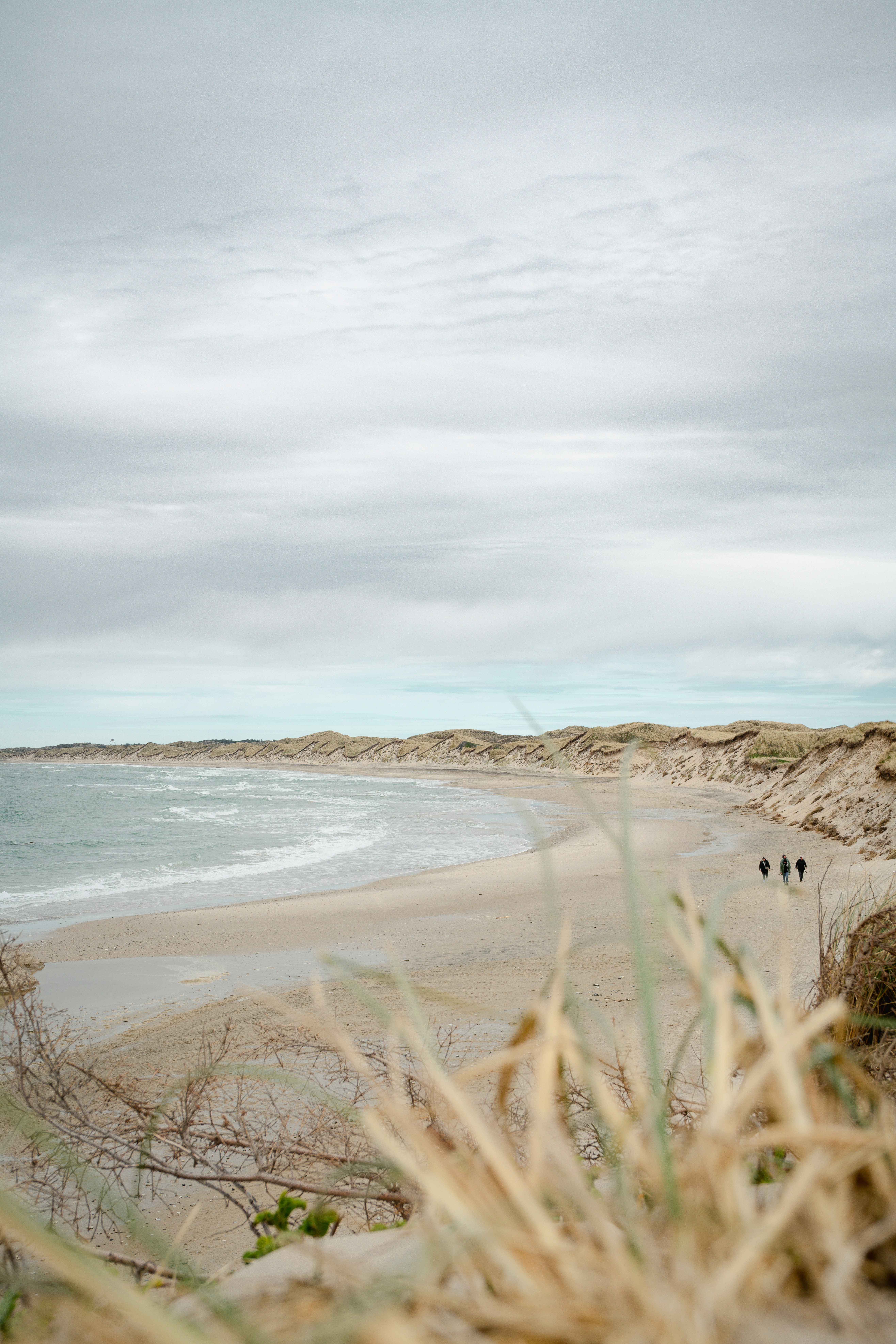 Dune-Tide Path: A Quiet Walk Along a Wind-Swept Coast