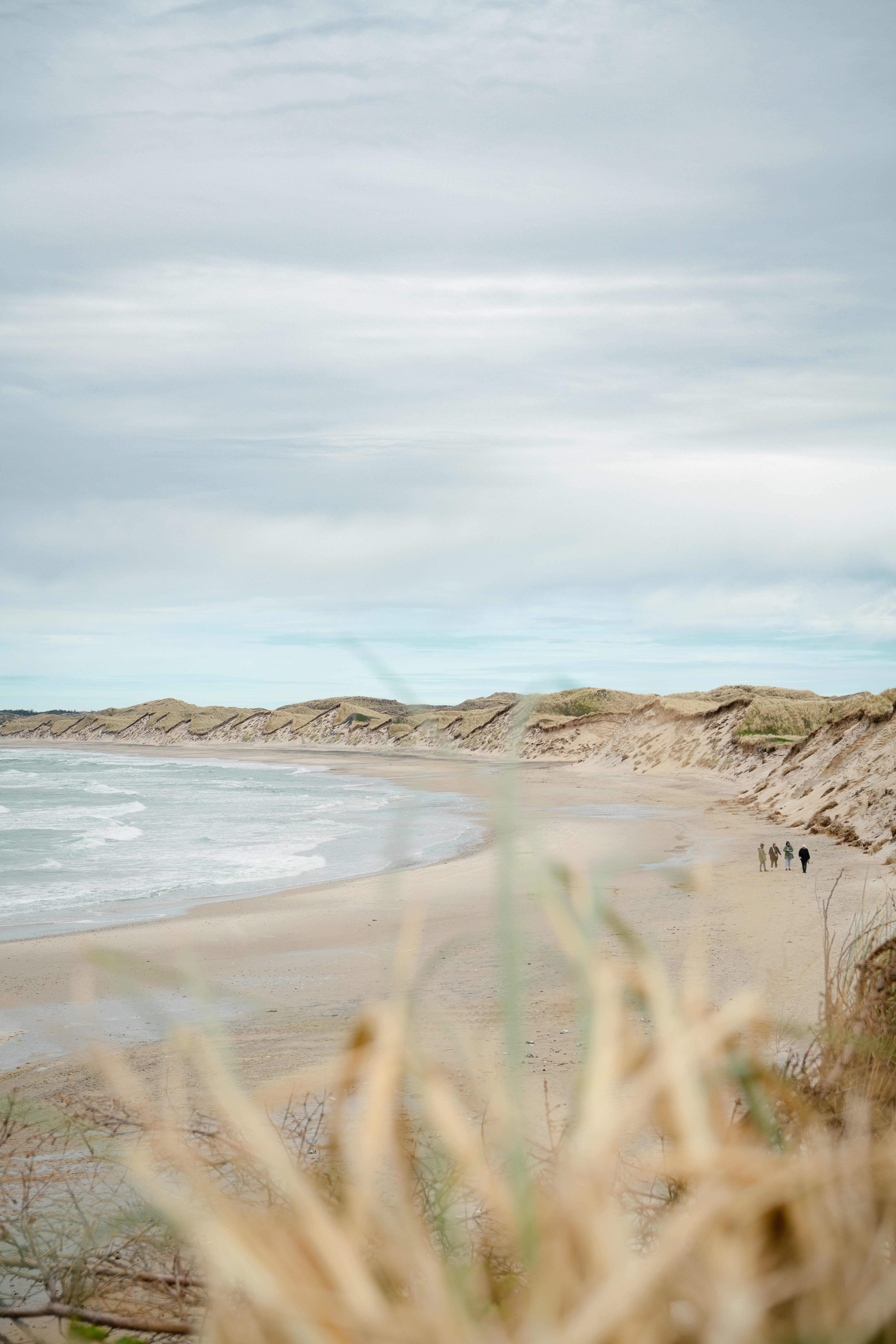 Dune Edge Stroll Along the Quiet Coastal Line