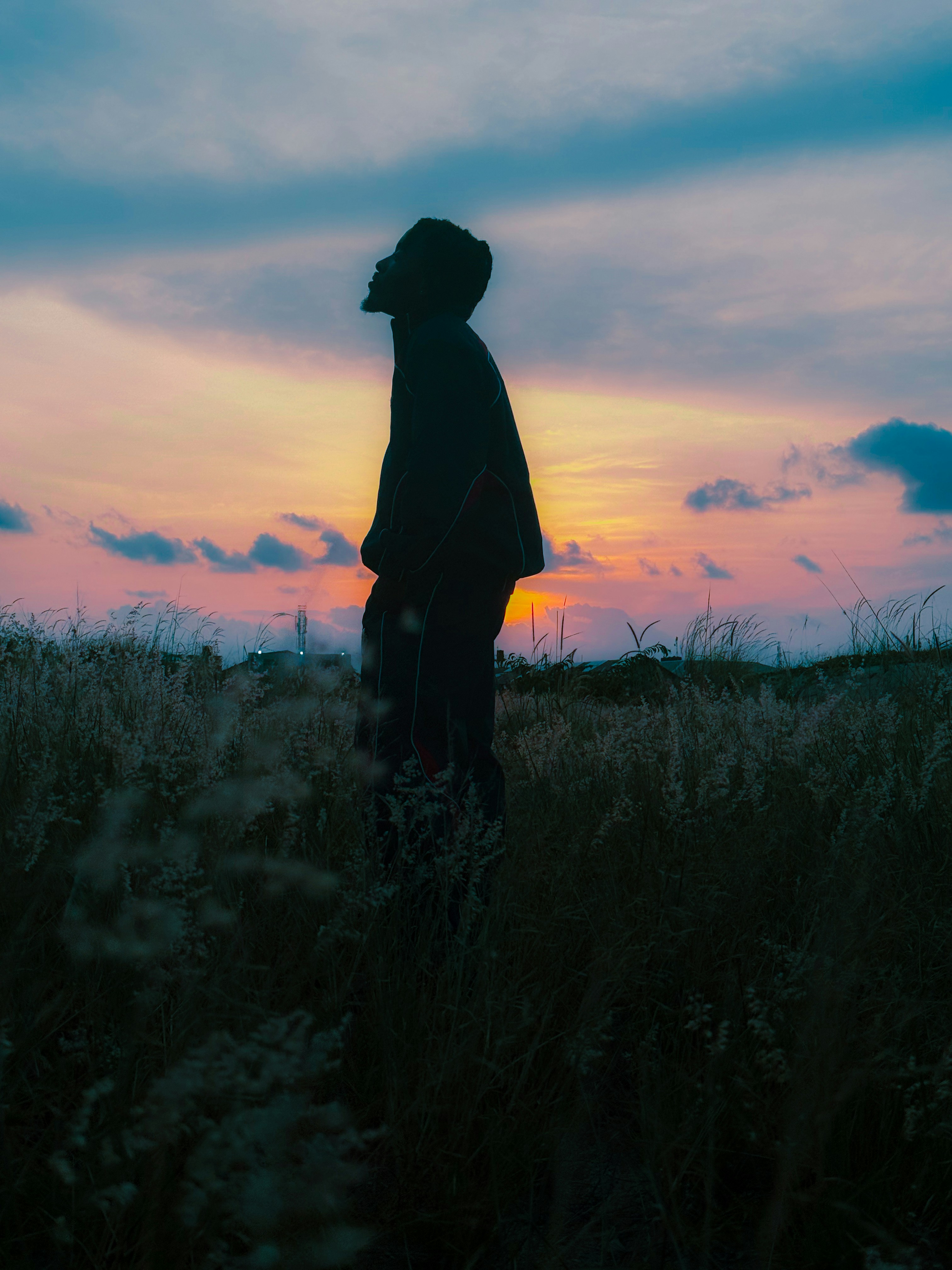 Silhouette at Sunset: A Figure in the Field