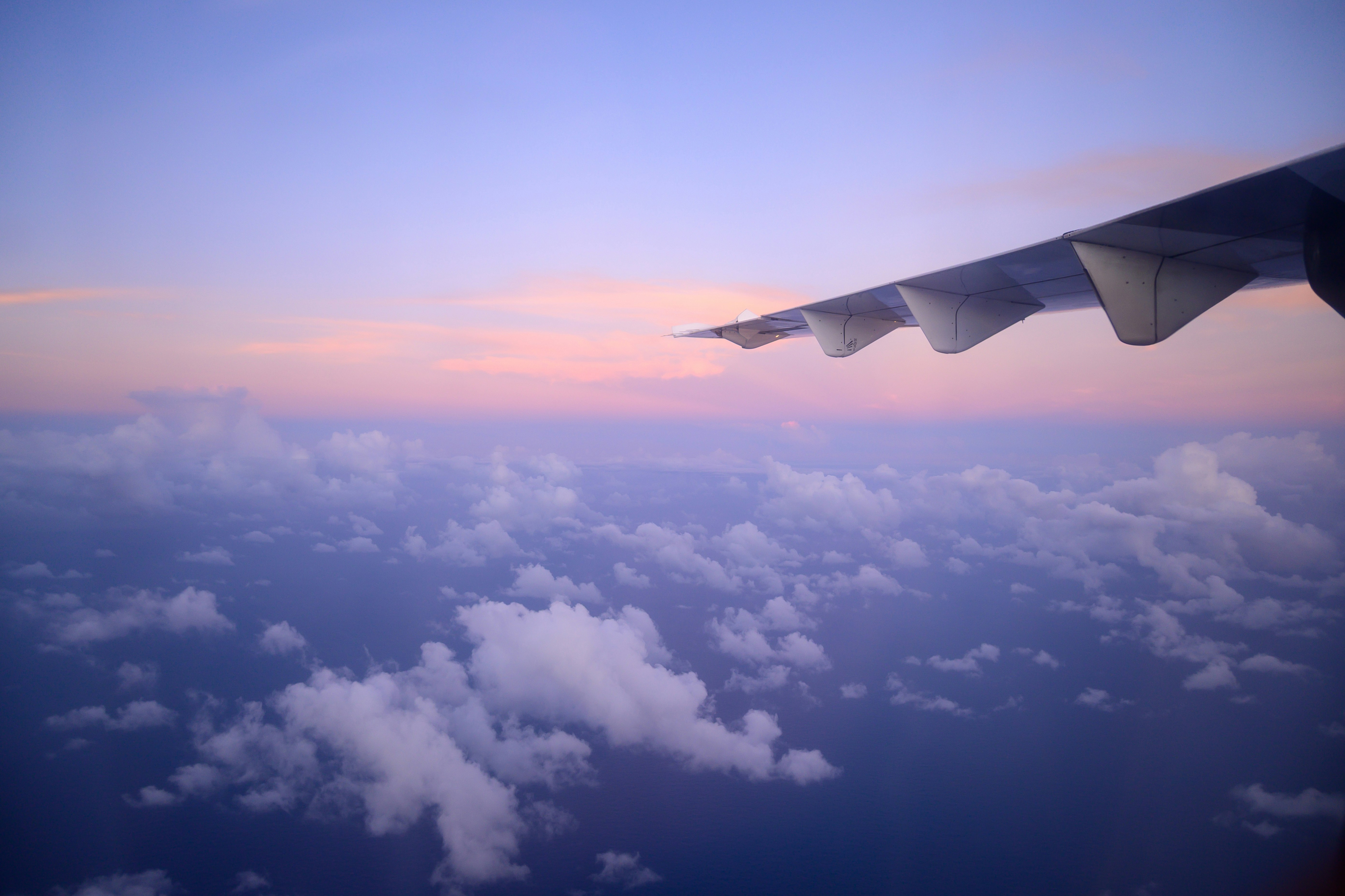 Wing in the Soft Dawn Above a Sea of Clouds