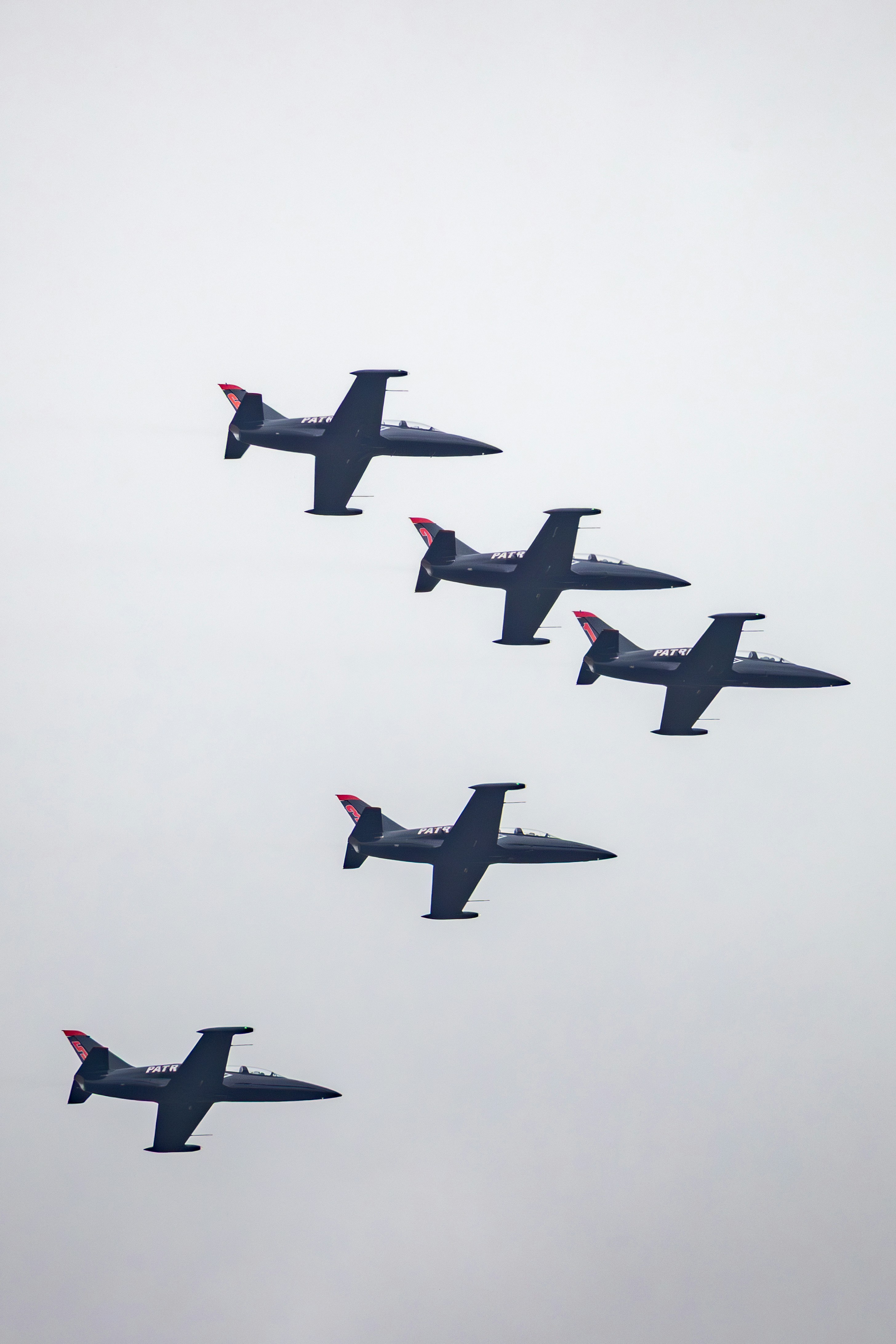 Five jets in V-formation carve a high-altitude arc against a pale sky