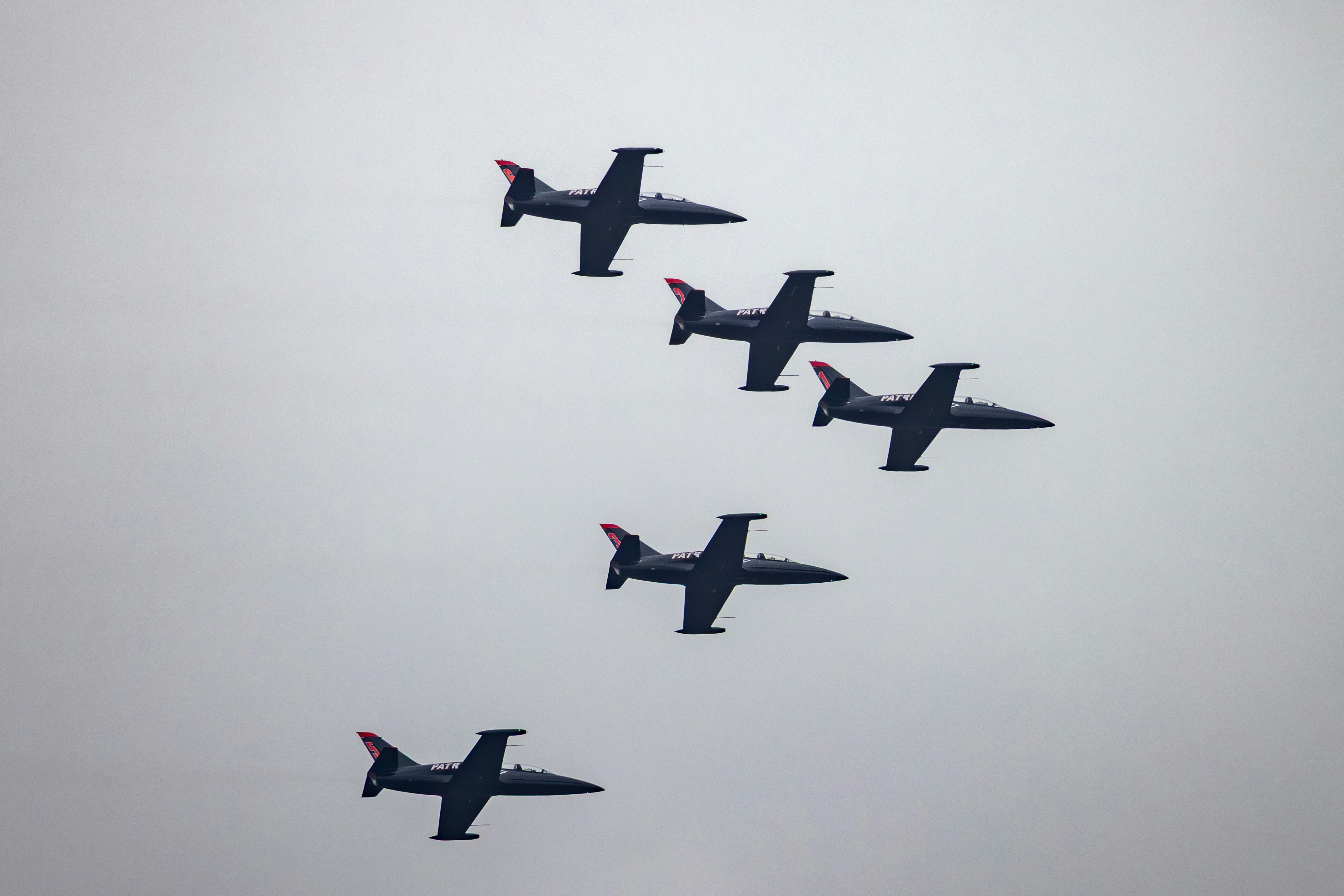 Arrowed Wings: A Quiet V-Formation Across a Grey Sky