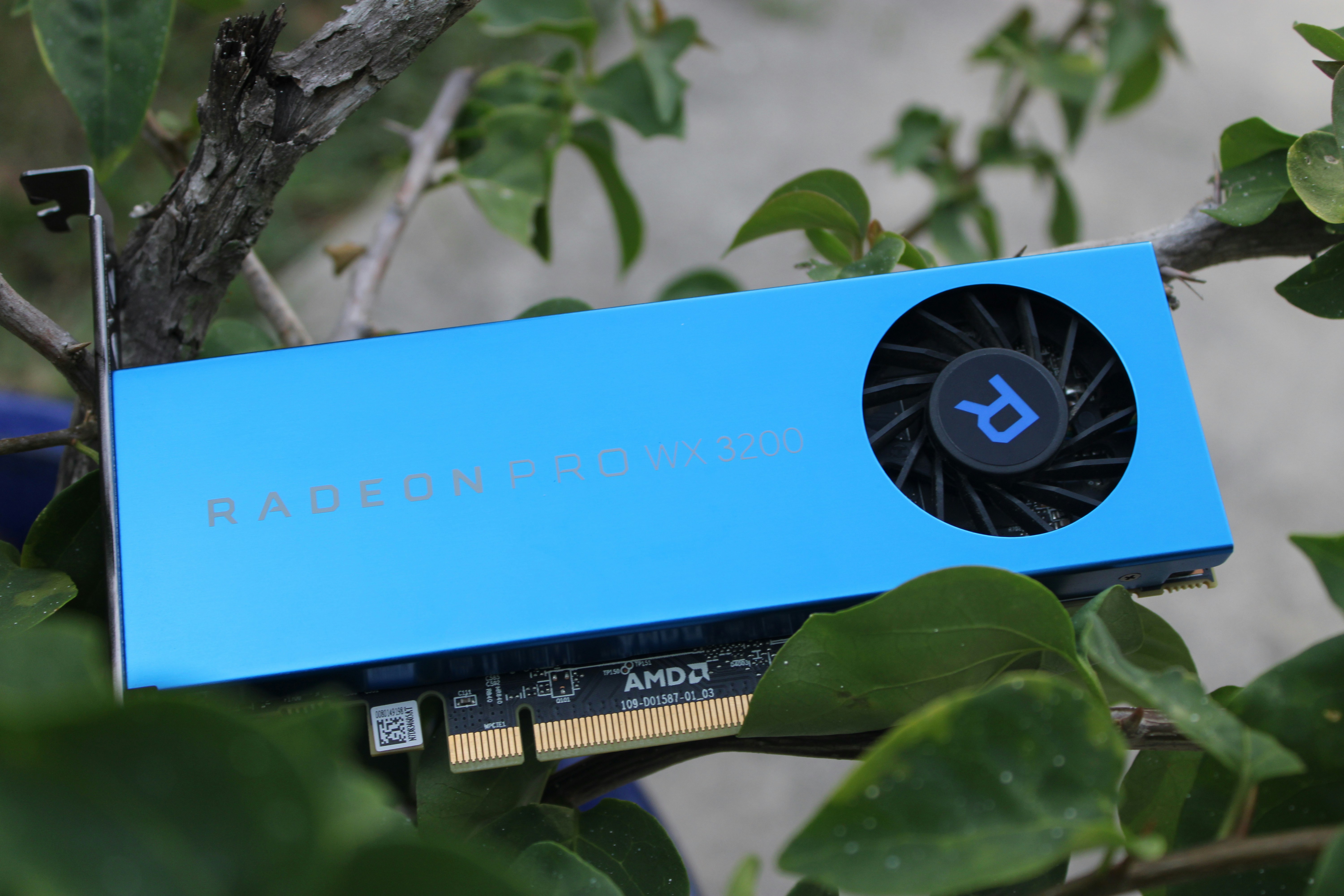Blue Radeon RX GPU Amid Leaves: A Hidden Graphics Gem