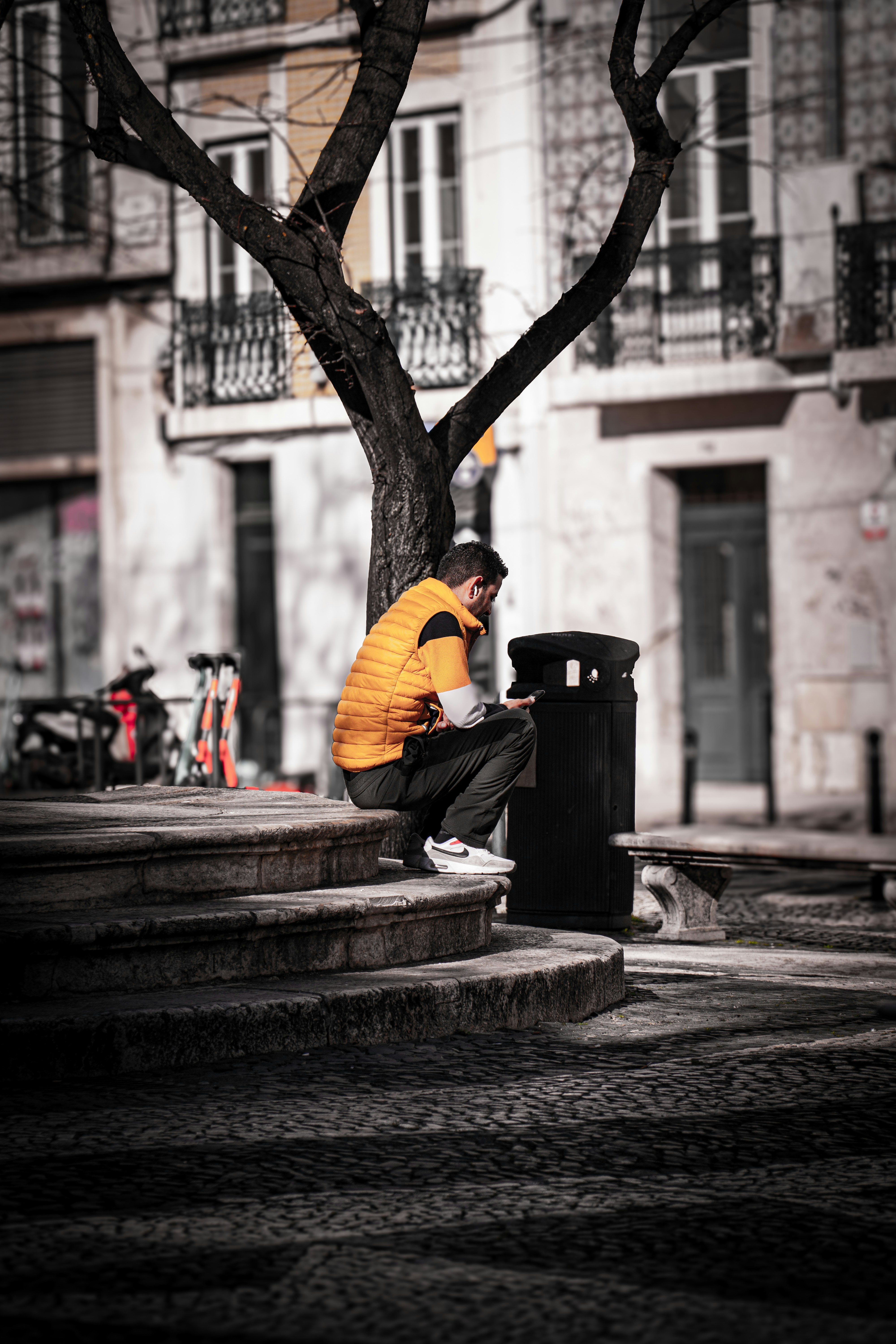 Orange-vested reader beneath a bare tree in a sunlit plaza