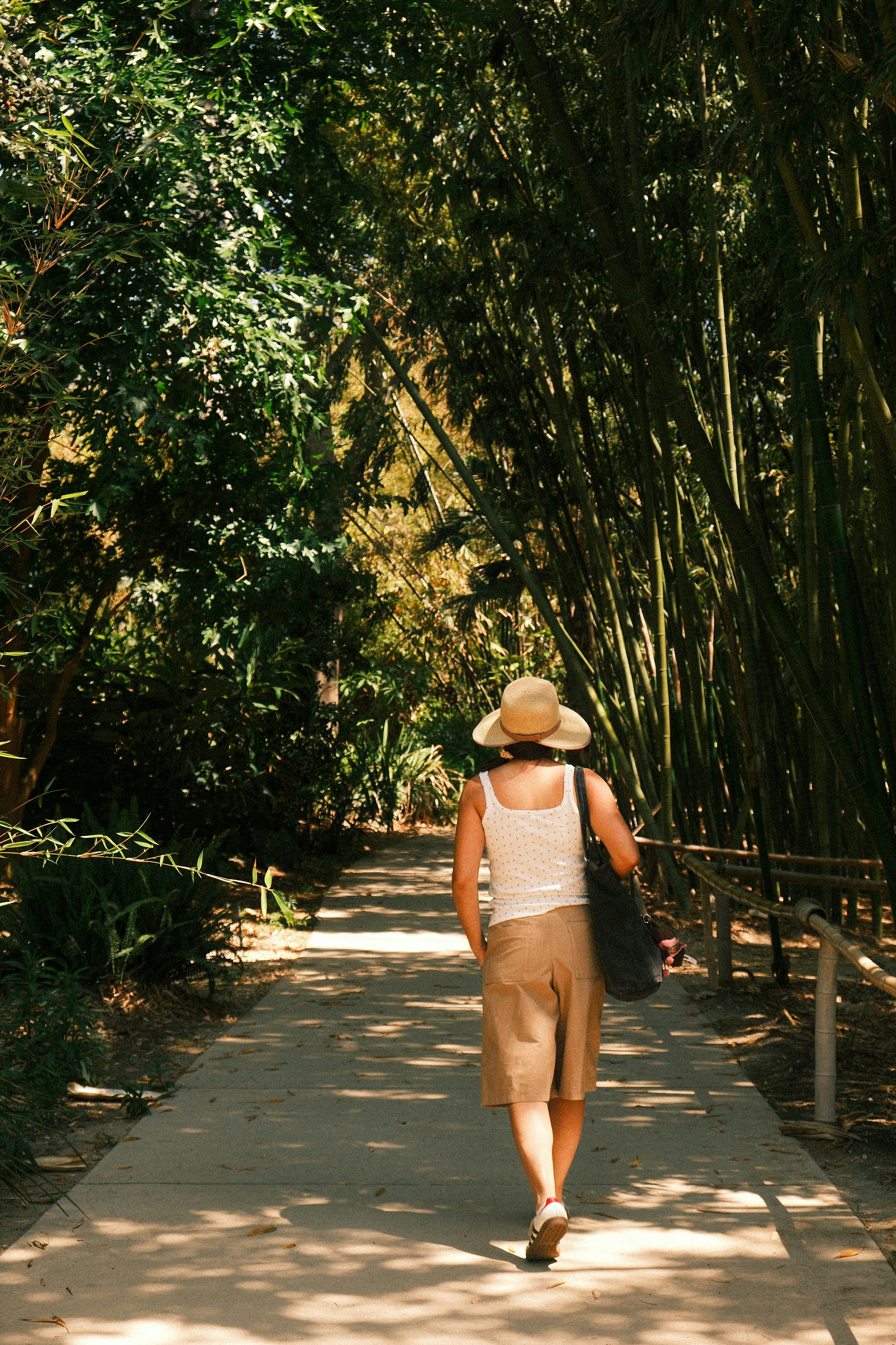 Sunlit Path: A Woman in a Bamboo Corridor Walks Toward the Light