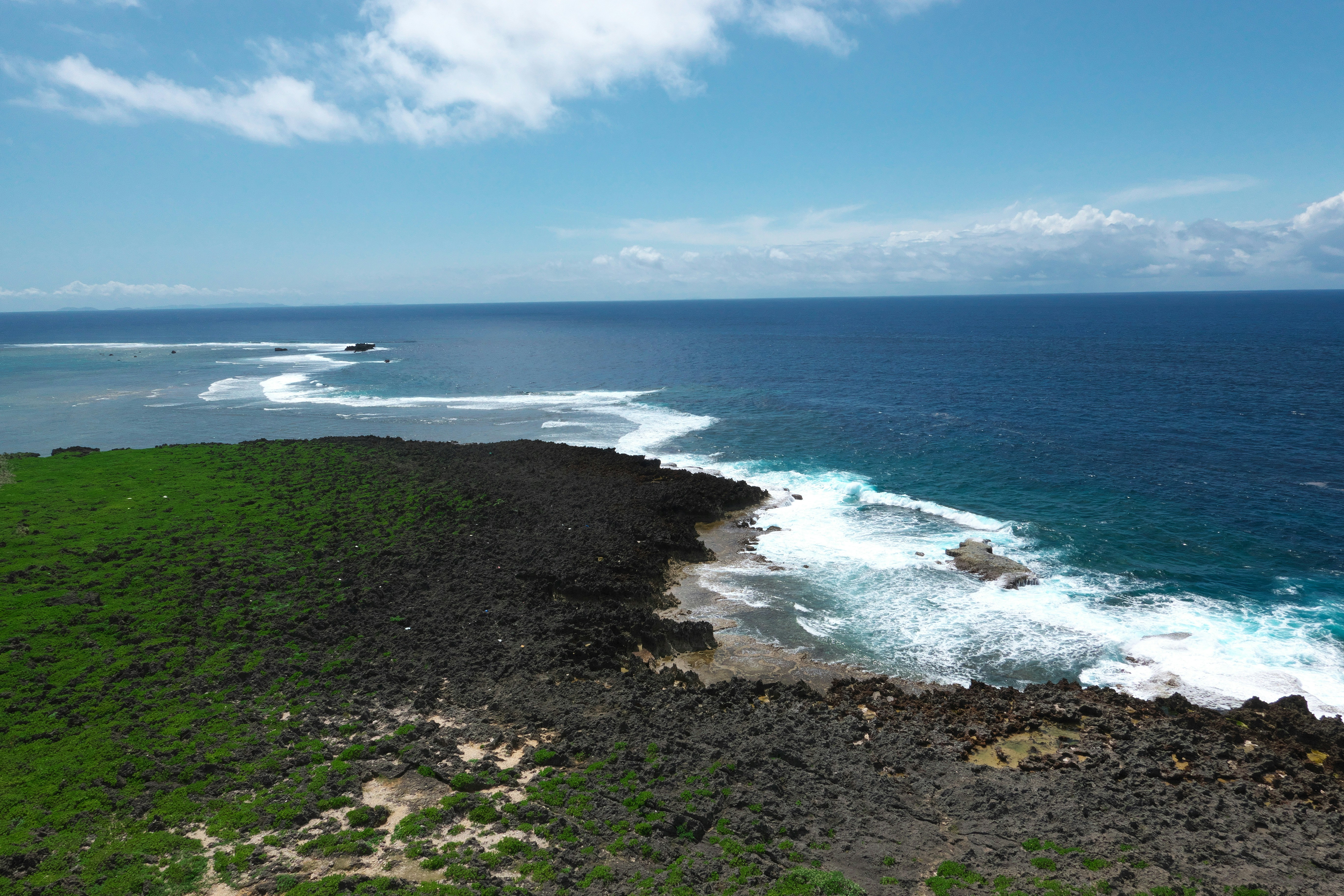 Rocky coast with green vegetation meeting the blue ocean.