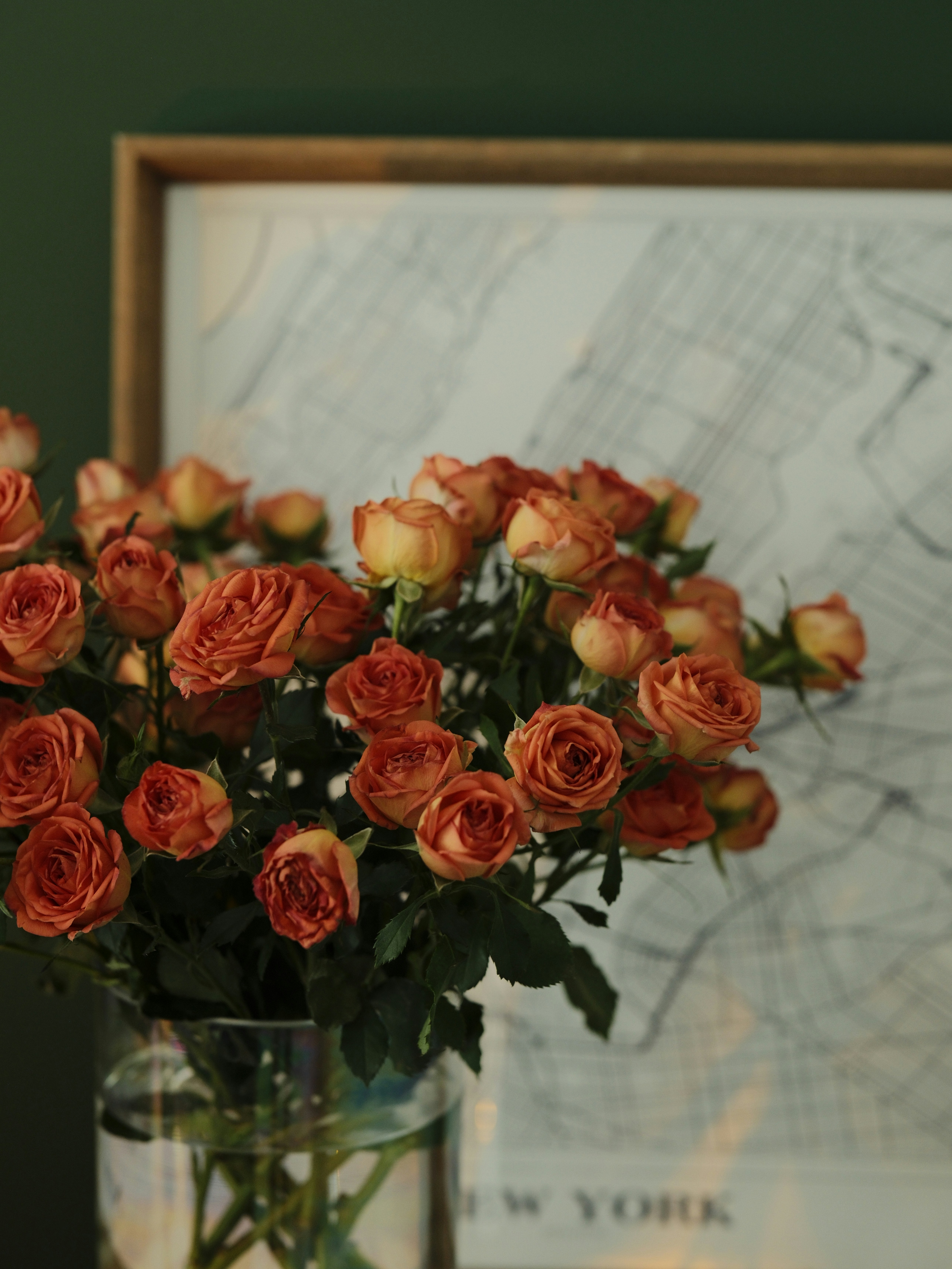 Orange Rose Bouquet in Glass Vase Against Botanical Print