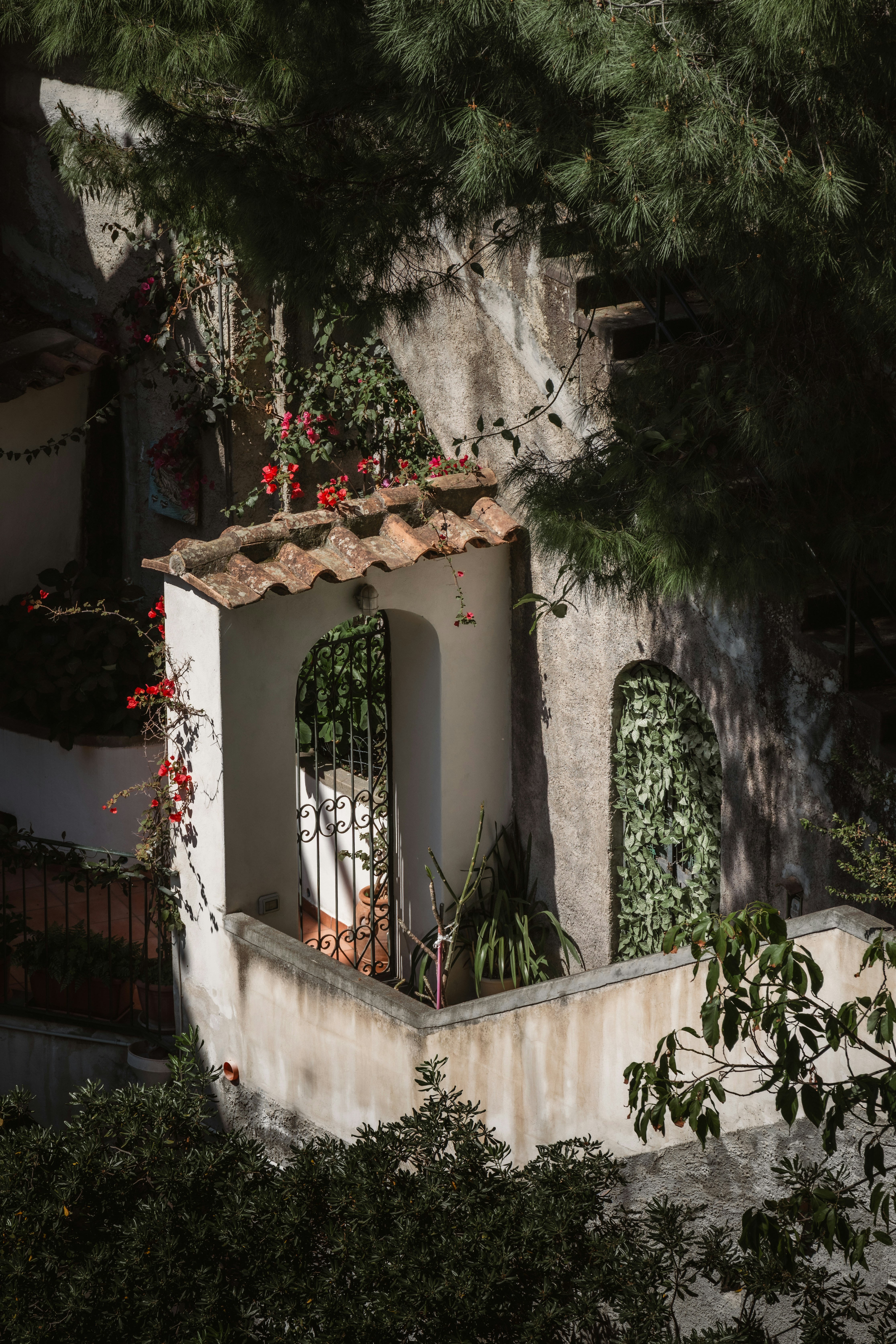 Sunlit Archway: Quiet Terrace with Red Blooms under a Cedar Shade