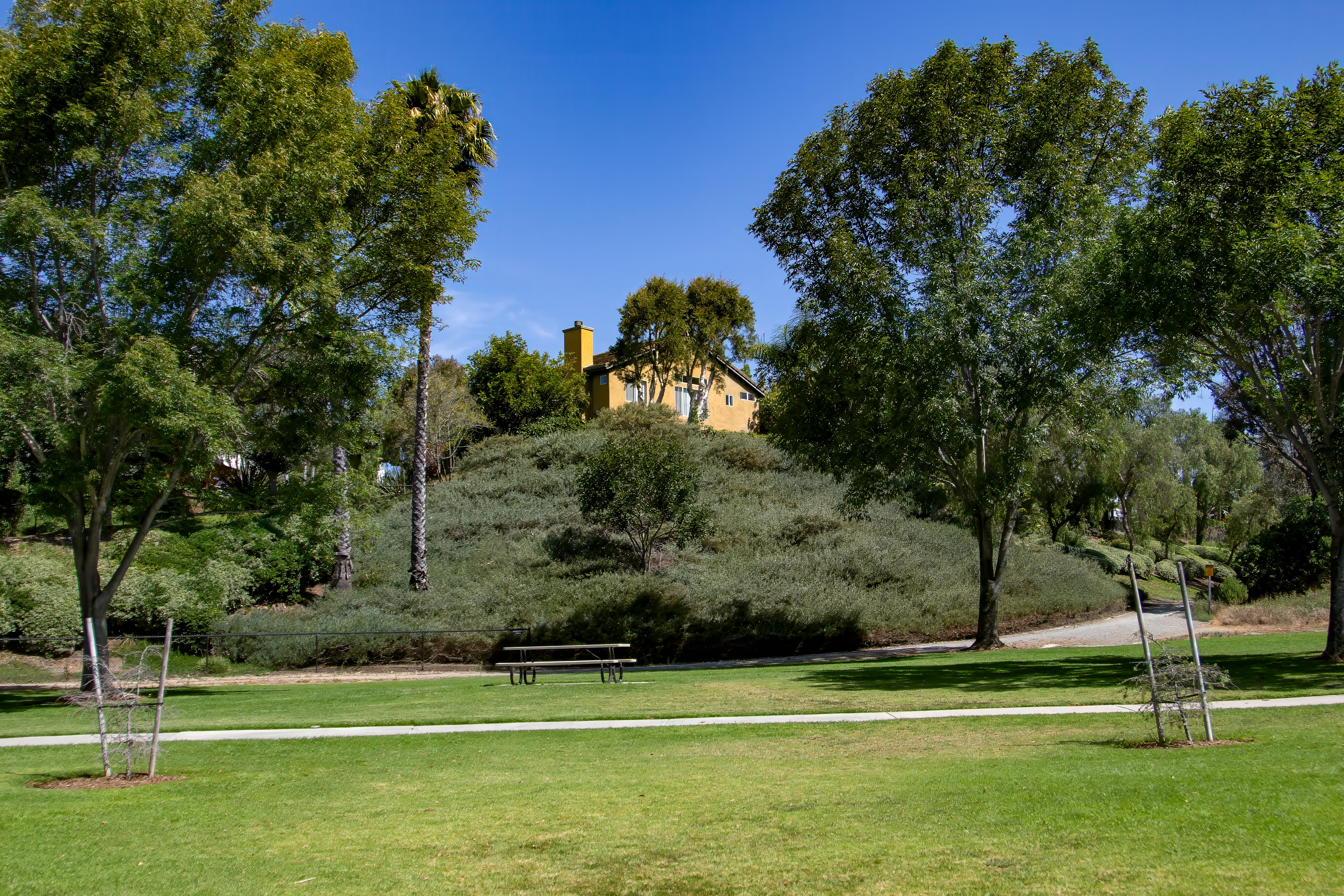 Hilltop House Surrounded by Shade: A Quiet Park Scene