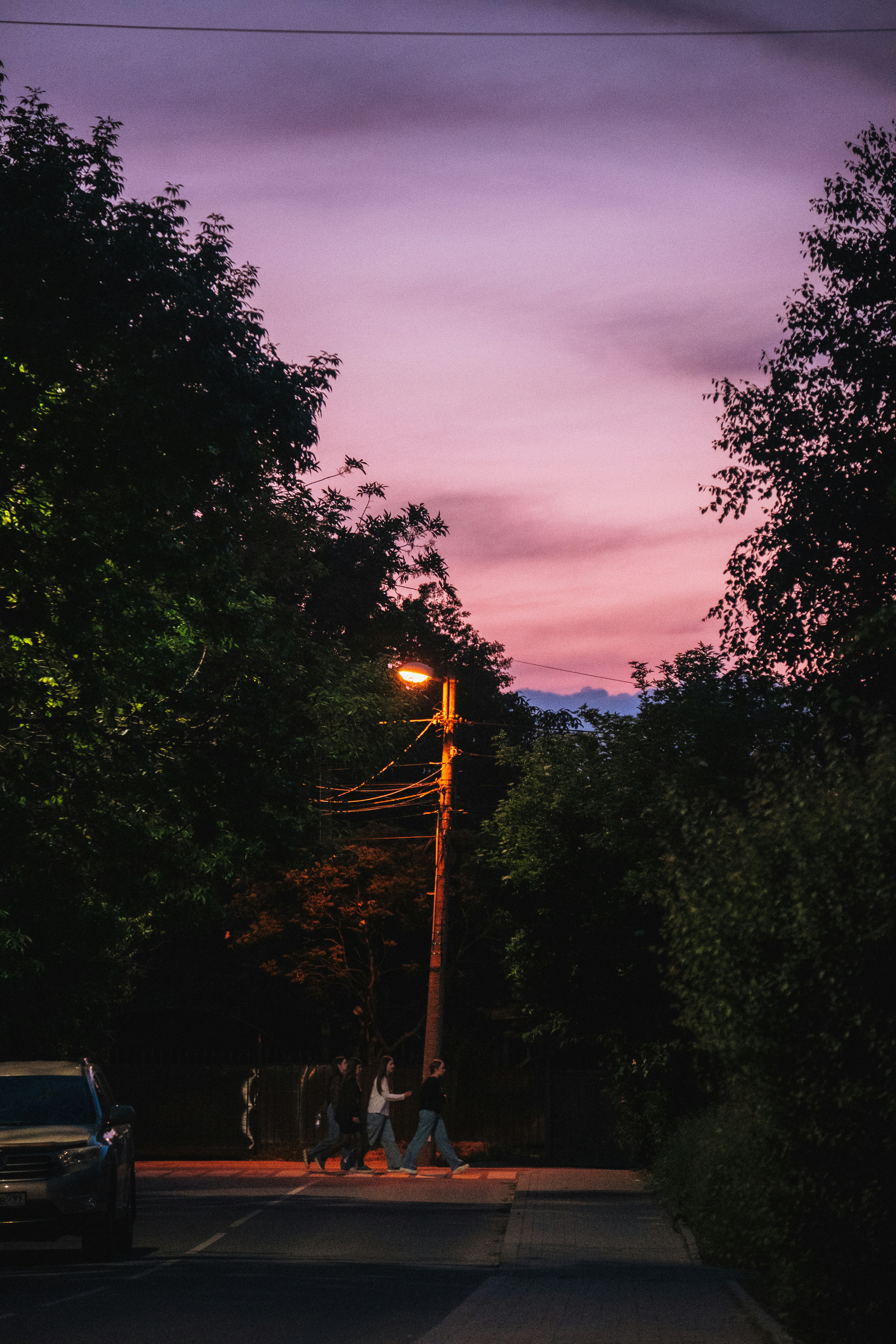 Purple sunset sky over trees, street light, and people.