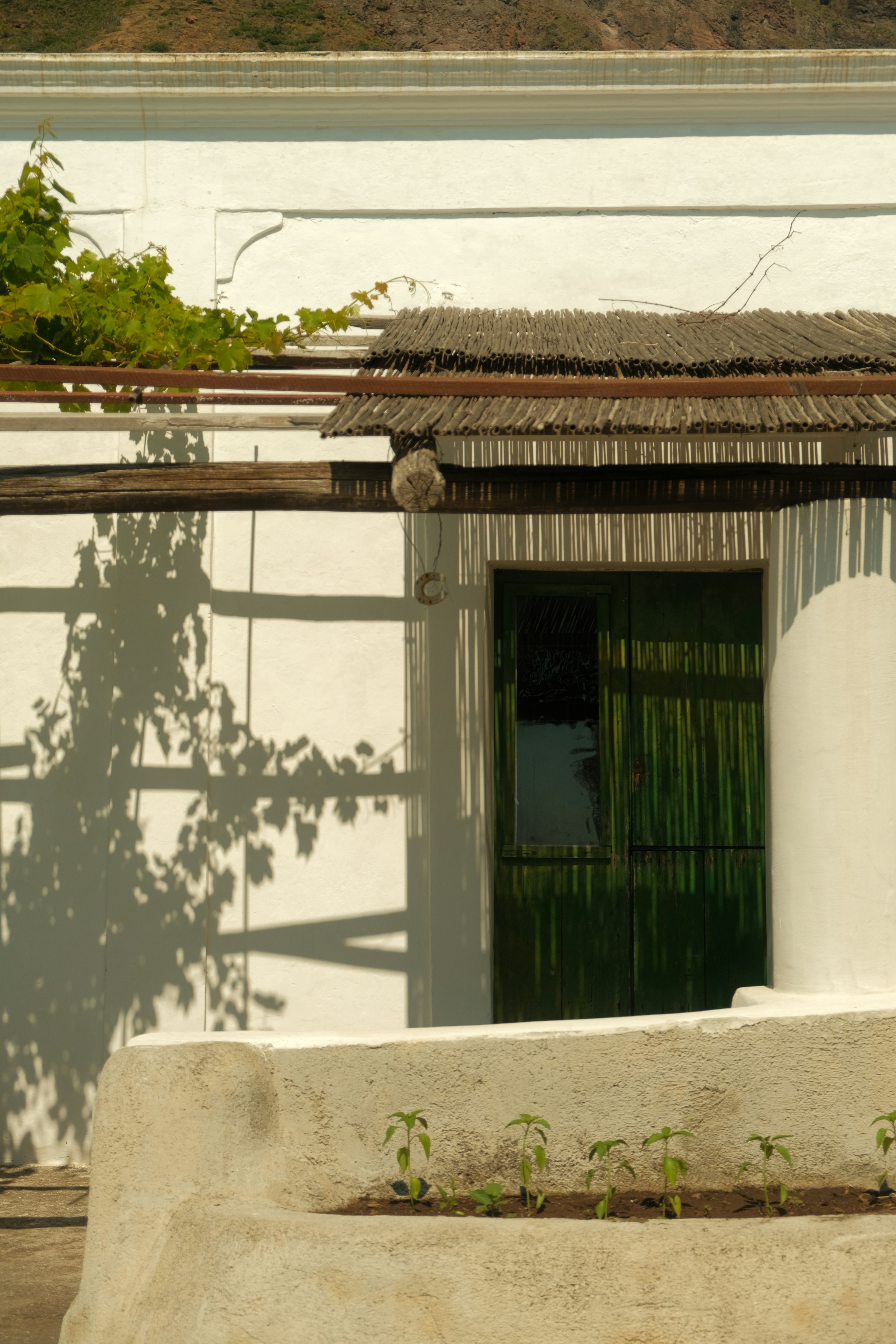 Shaded doorway under a rustic pergola