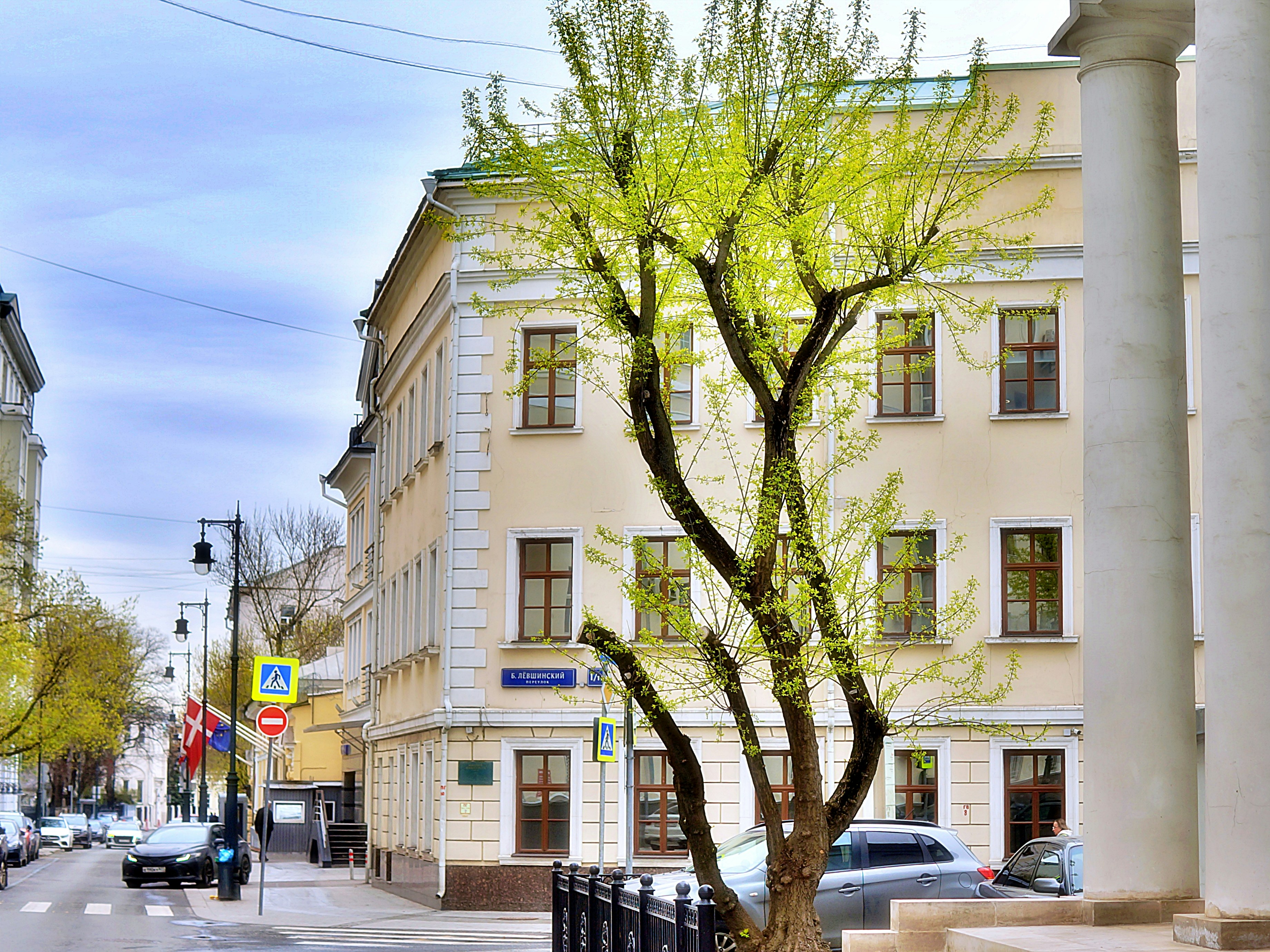 Sunlit Streetfront Framed by a Young Tree