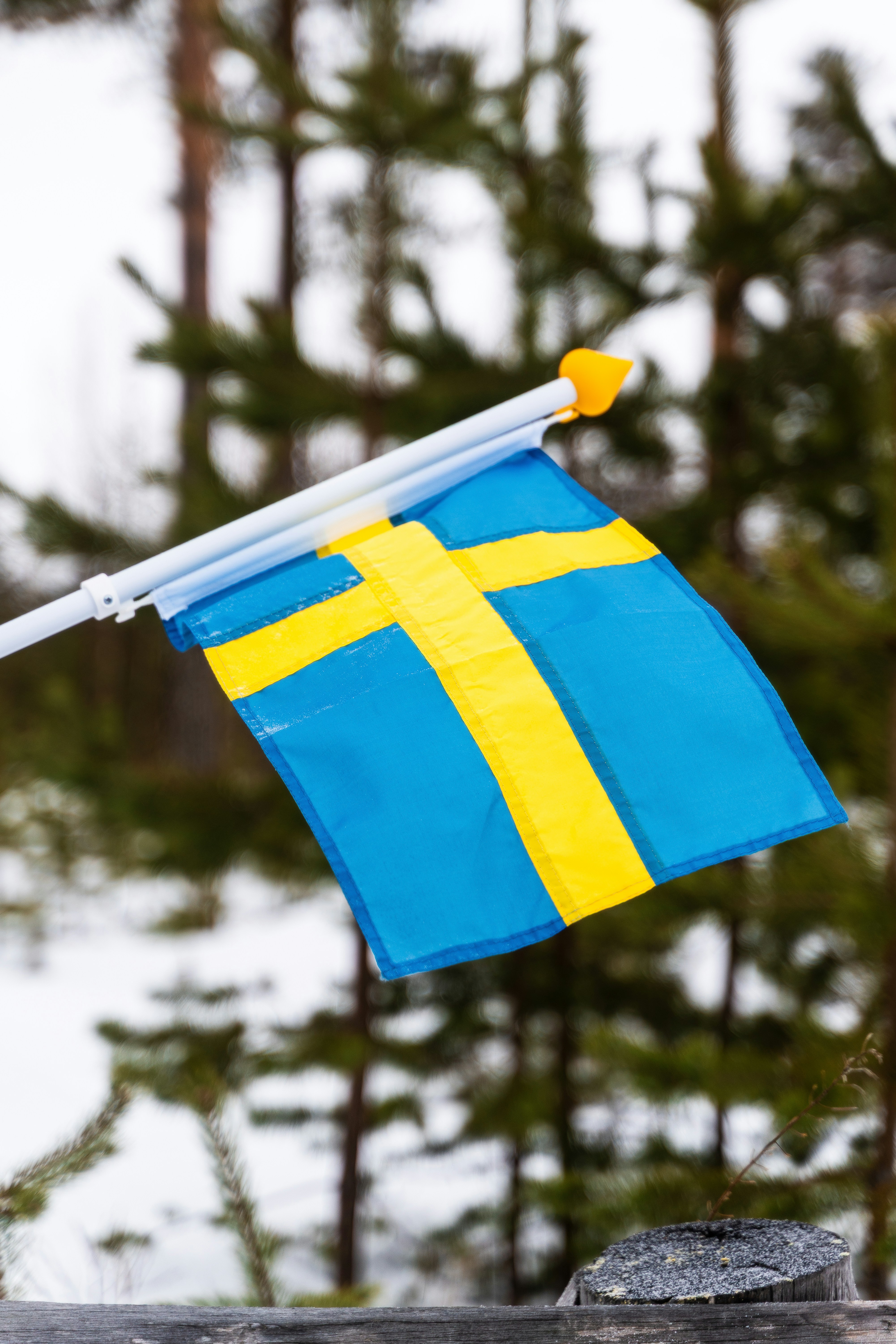 Swedish Flag in a Nordic Winter Frame