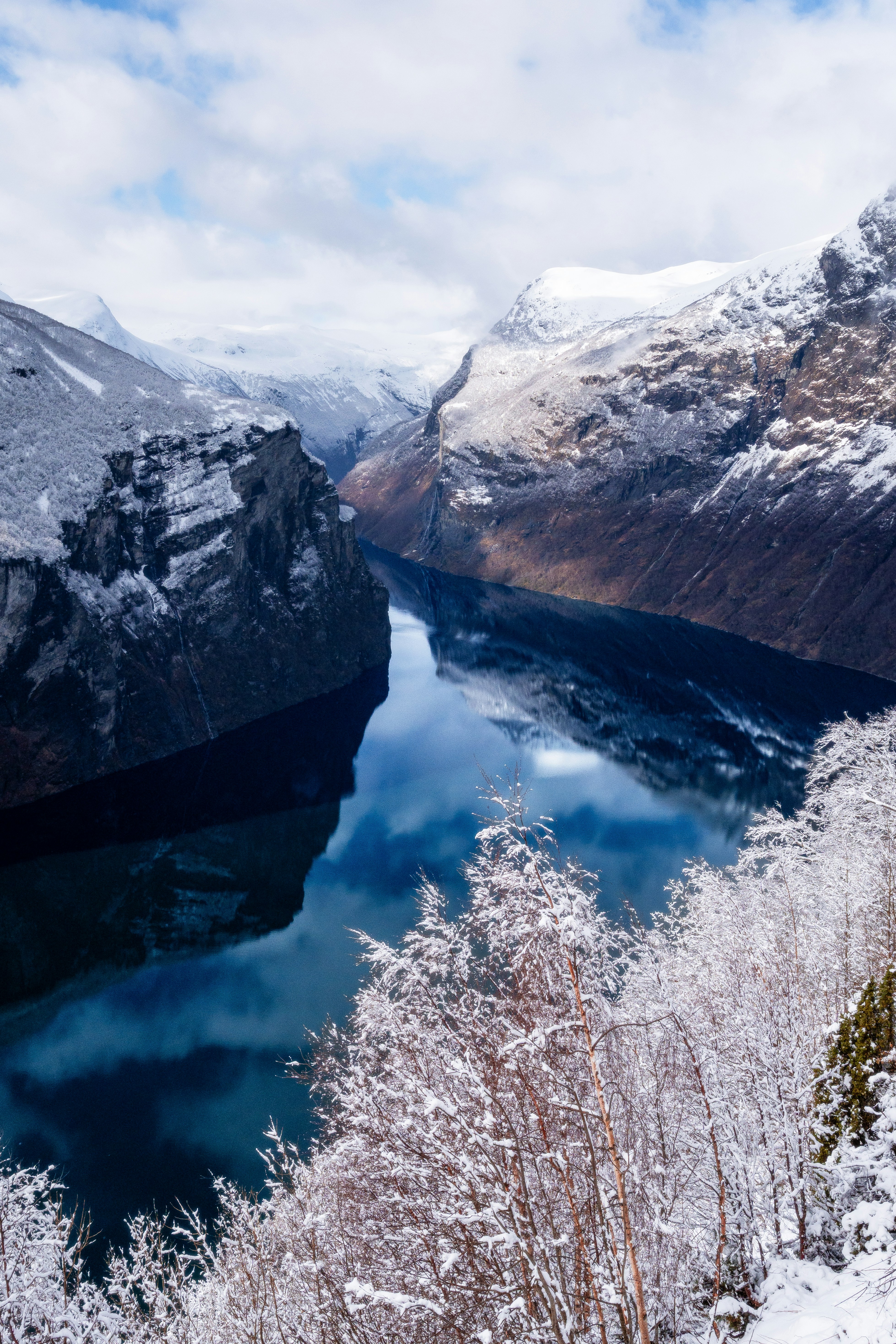 Snow-dusted mountains cradle a deep blue fjord with reflective waters, framed by frost-laden trees along the foreground.