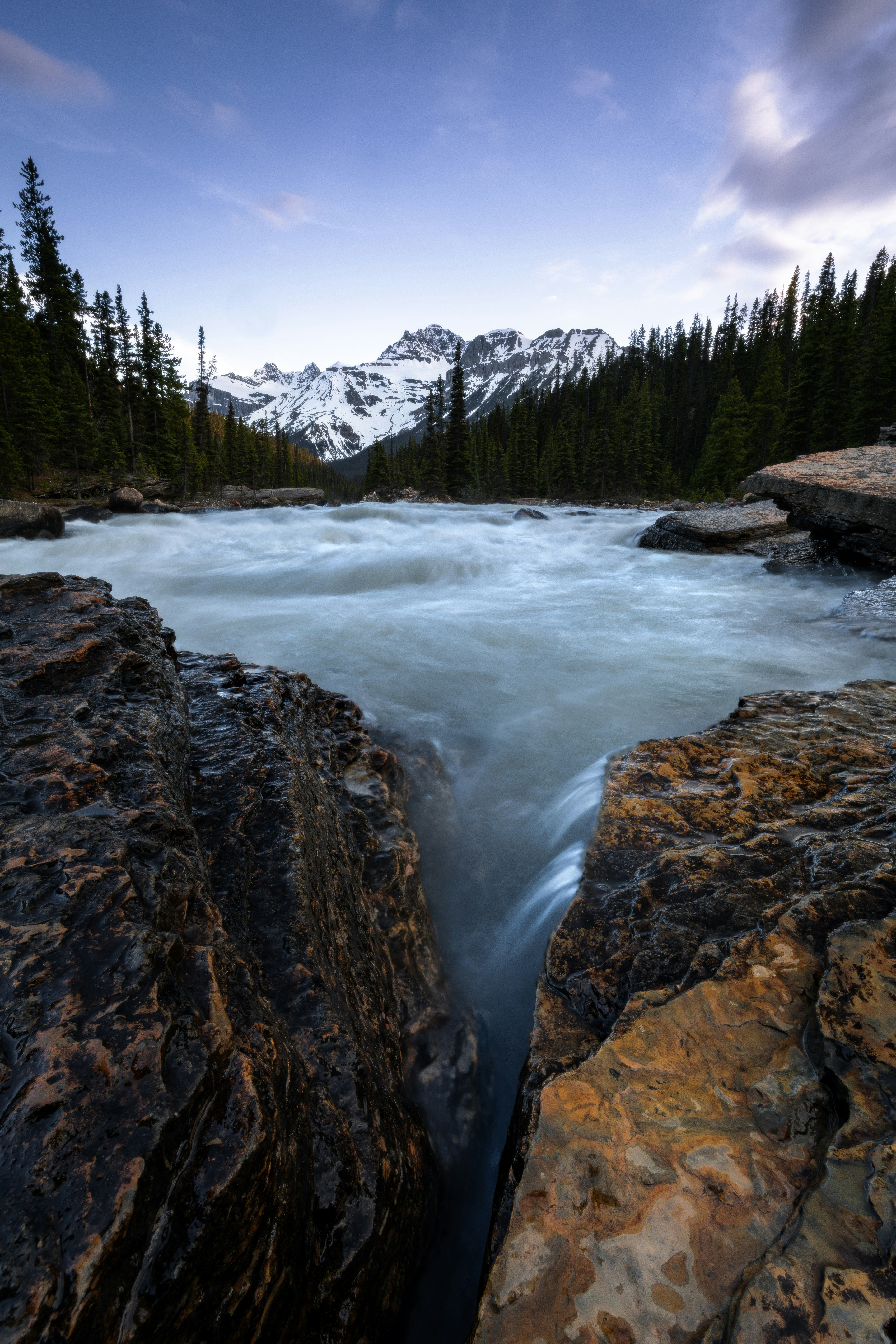 Mountain river flowing through a rocky gorge with pine forests.