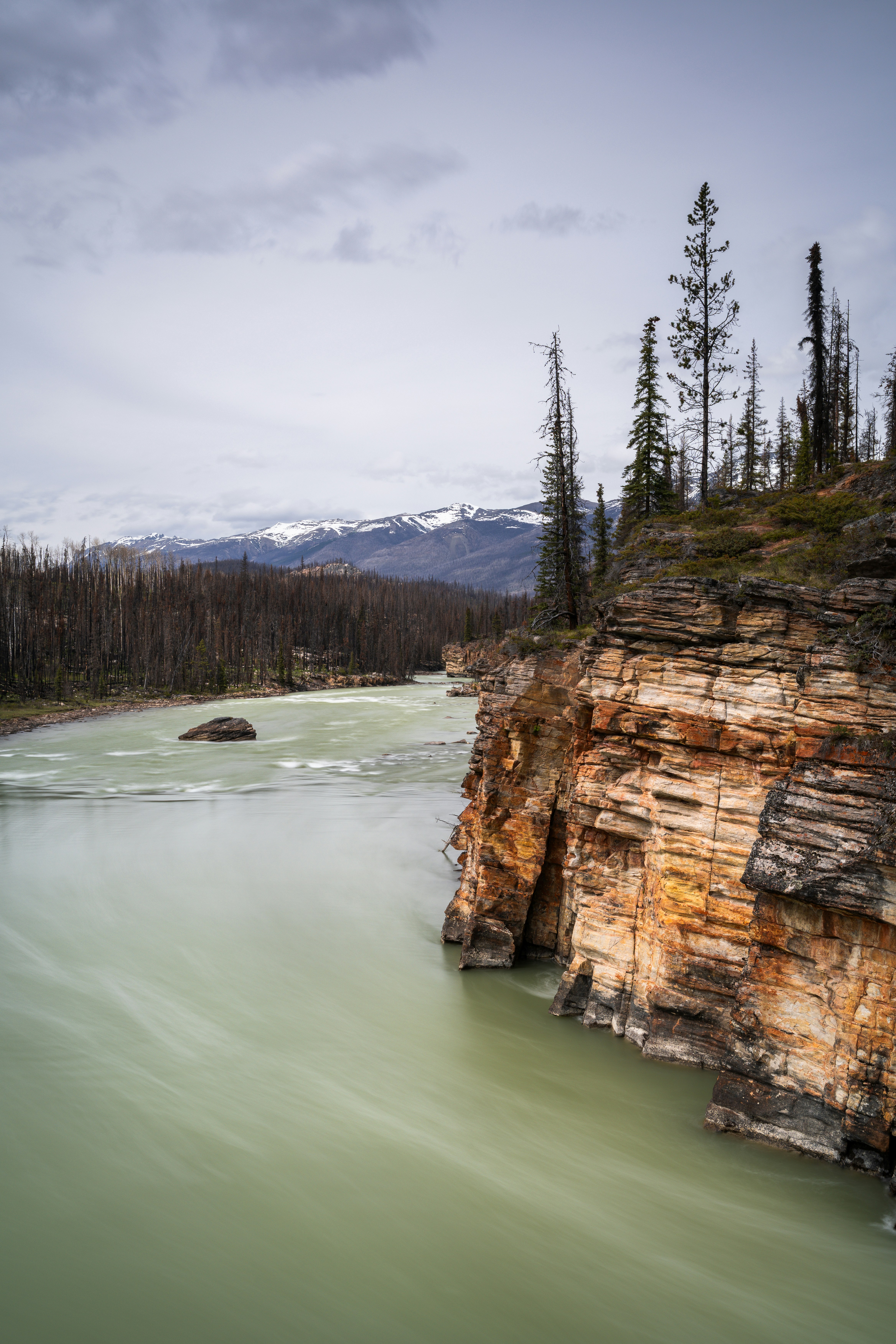 Rugged River Cliff: Weathered Strata and Conifer silhouettes