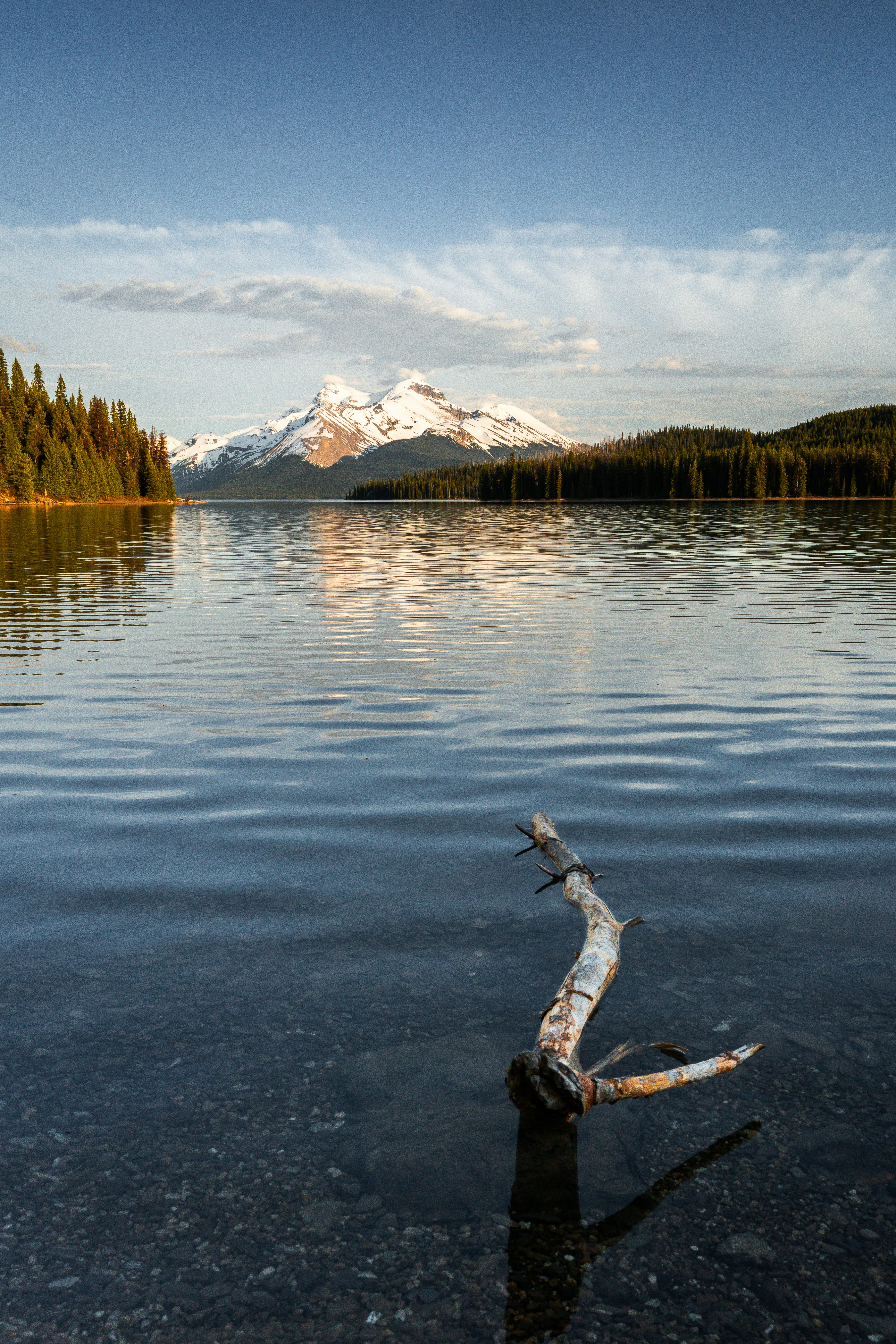 Snow-capped Peaks Stare Over a Serene Forest-Guarded Lake