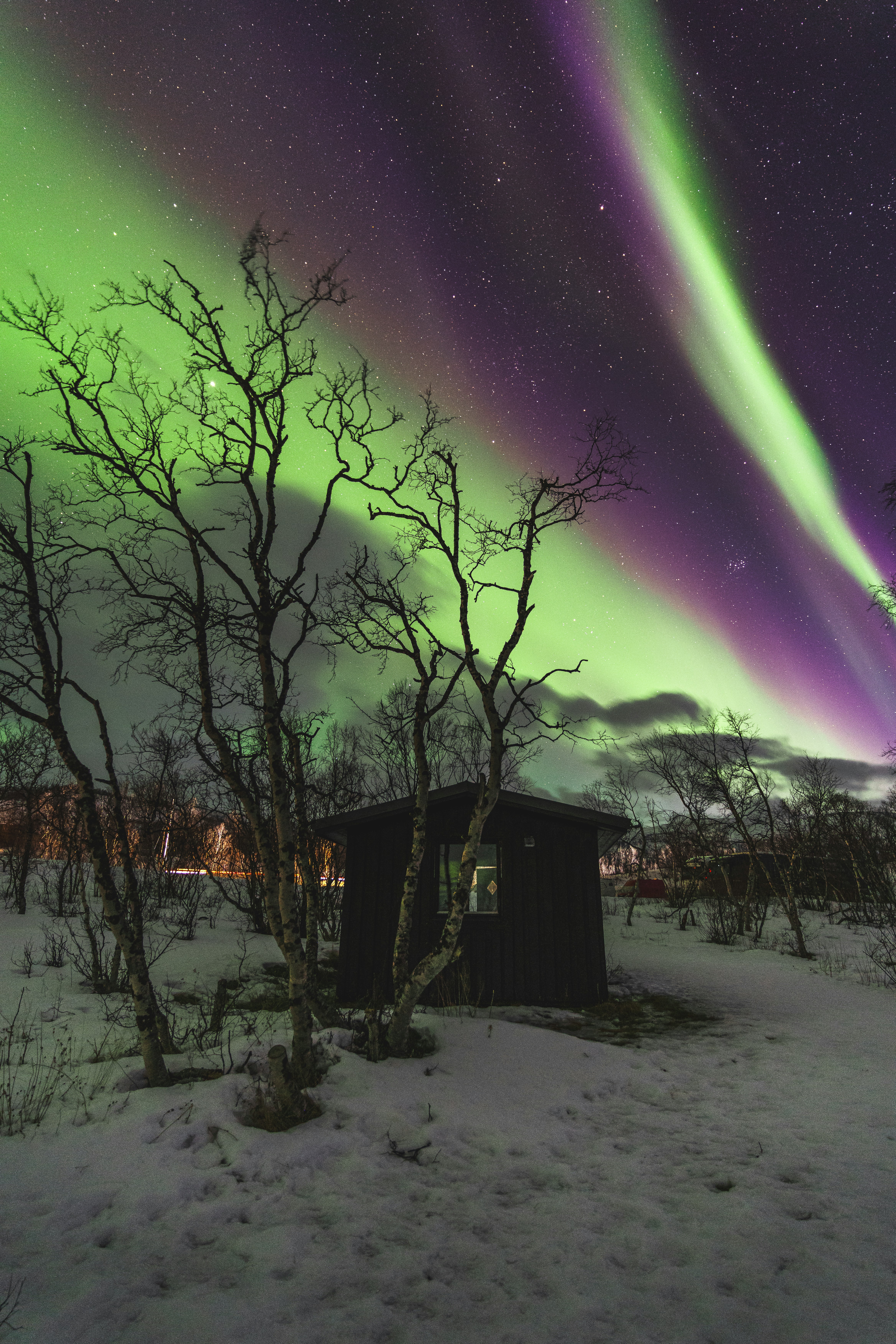 Emerald Veil over Snow: Aurora Drapes a Silent Cabin