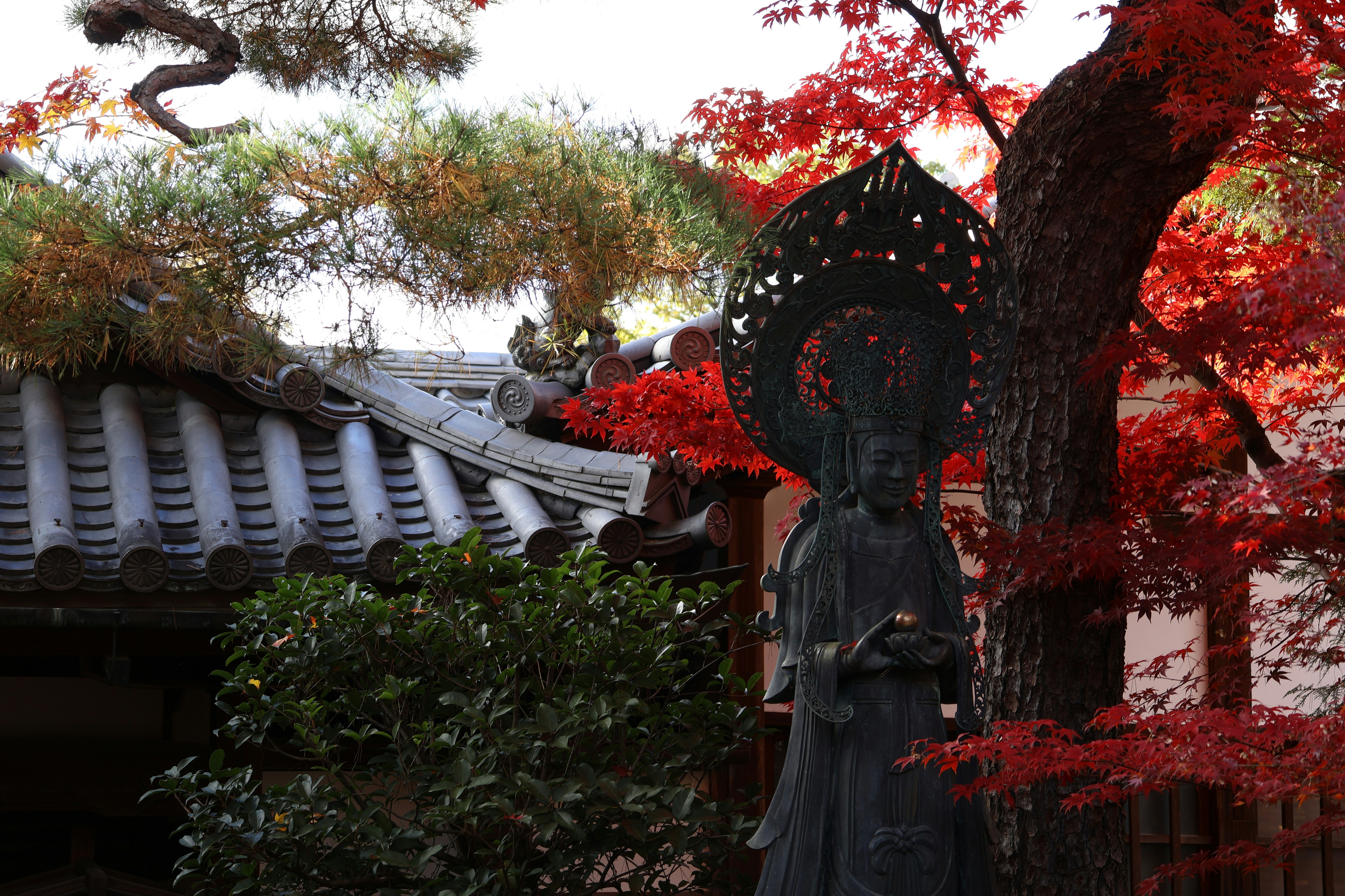Guardians of Autumn: A Calm Shrine Amid Red Leaves
