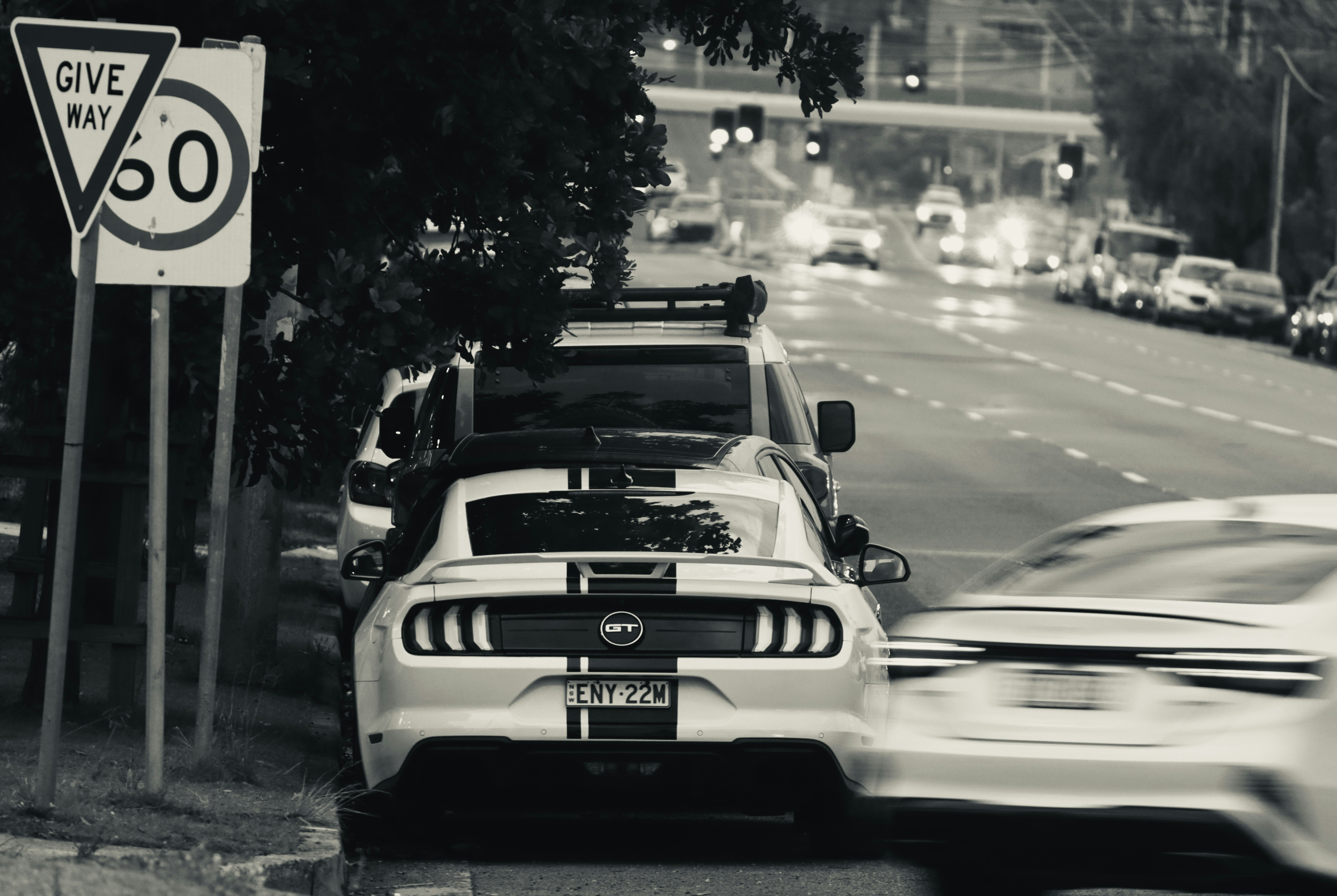 Toward the Curb: A Quiet Standoff by a Street-Charmed Ford