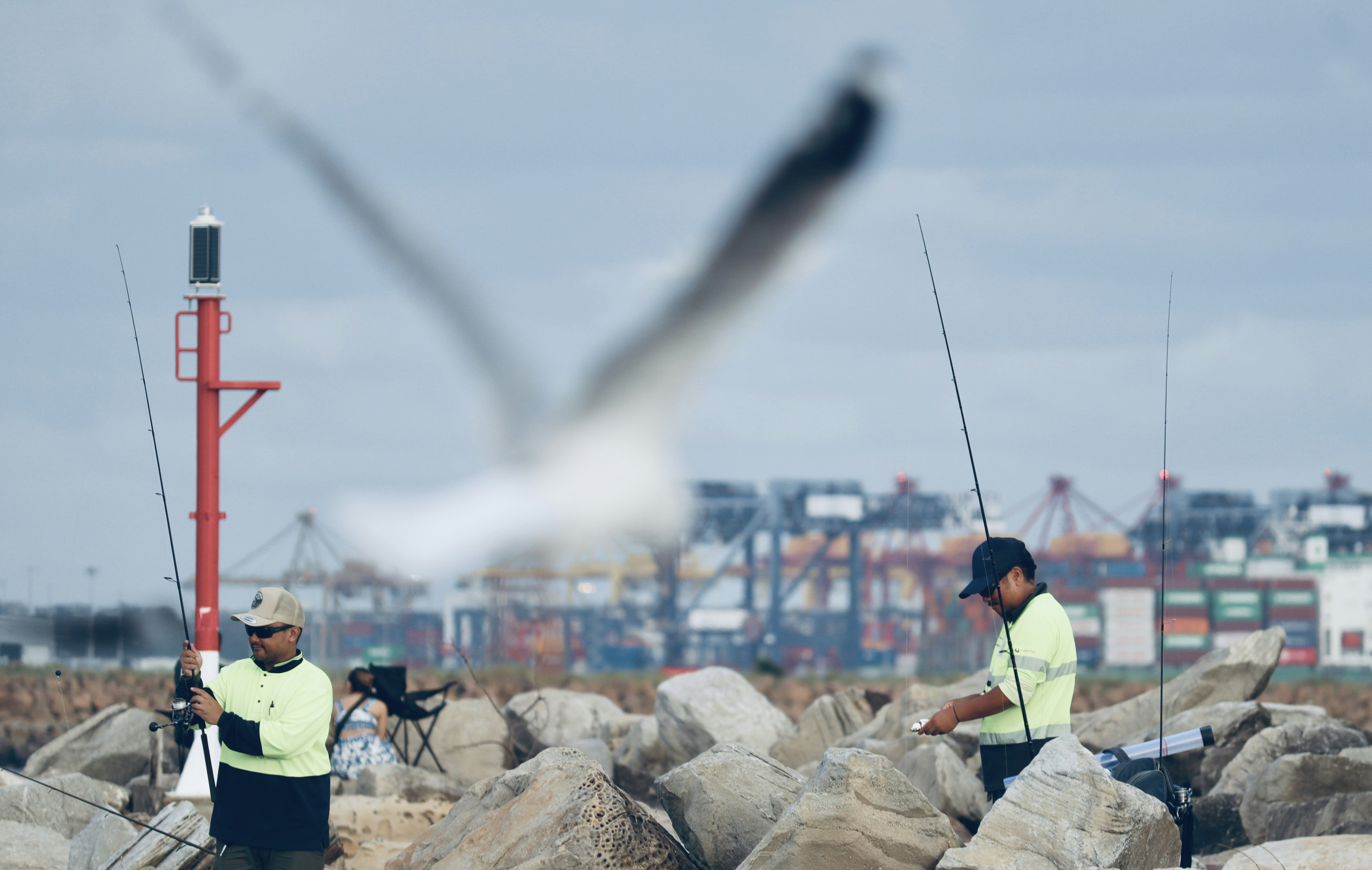 Coastal Work: Fishermen on a Boulder Breakwater as Seagull Passes