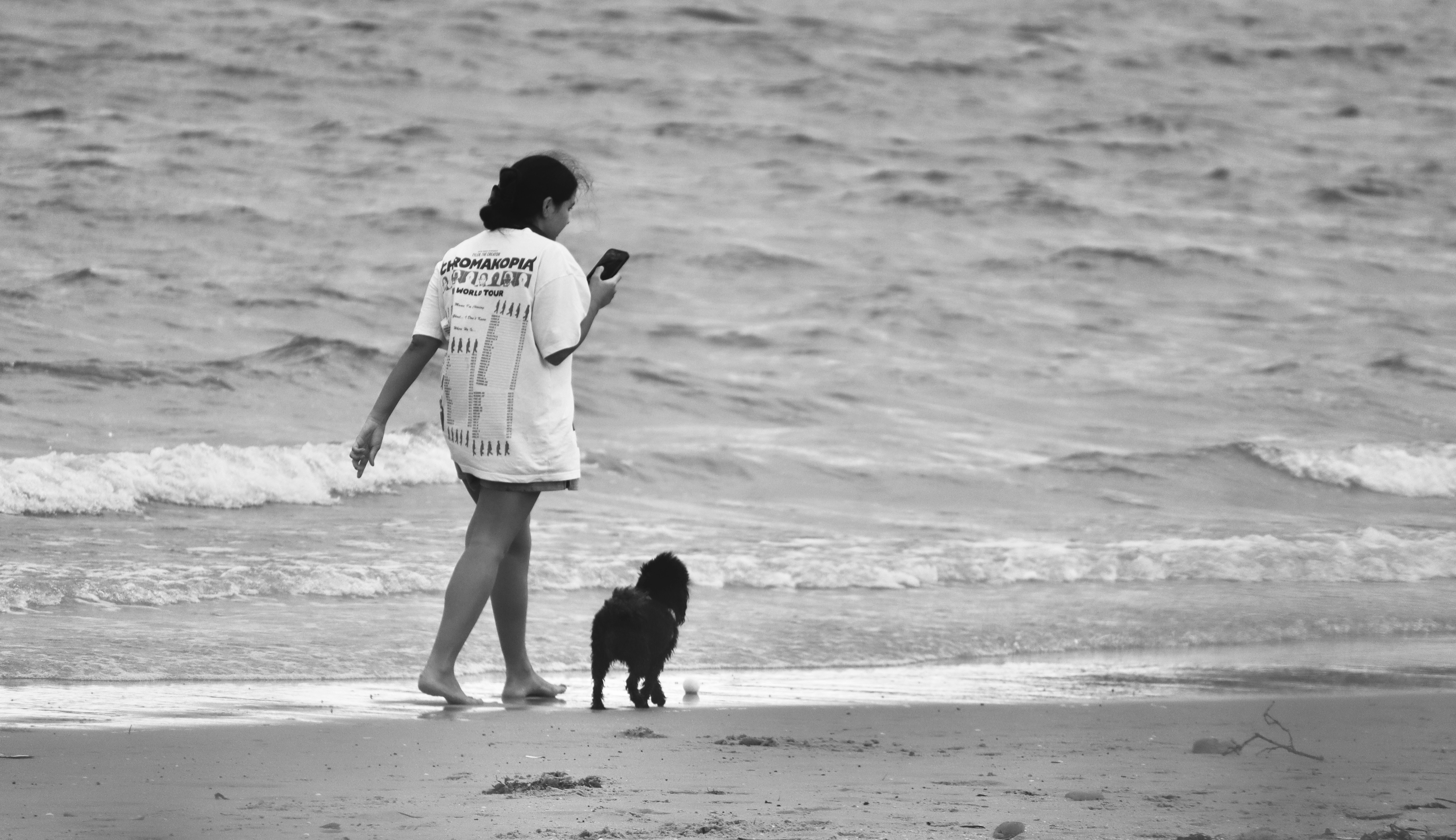 A person walks along the shore with a small dog as waves roll in, captured in a grayscale scene that emphasizes mood and texture.