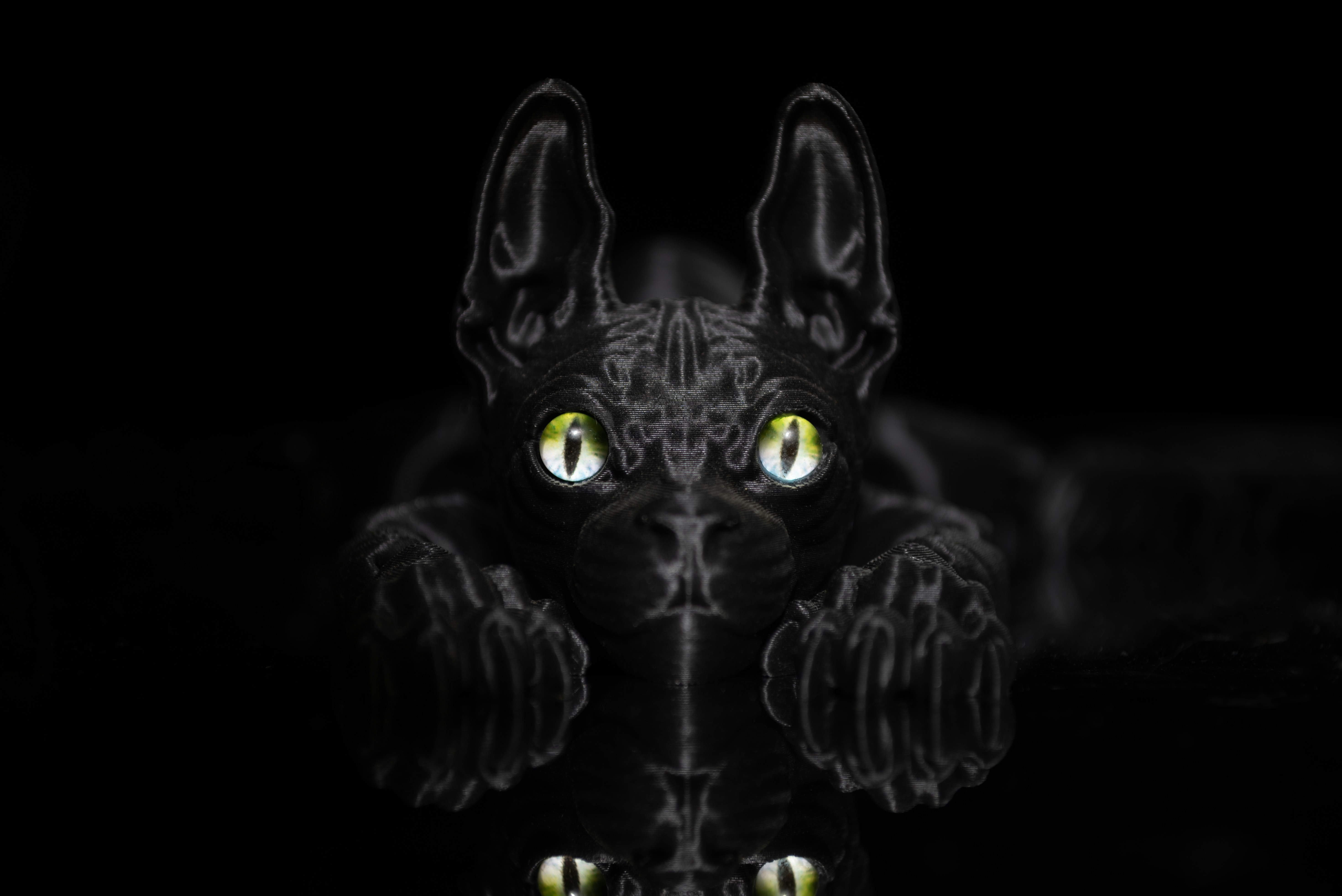Midnight Gaze: A Noir Cat Paused at the Edge of Reflection