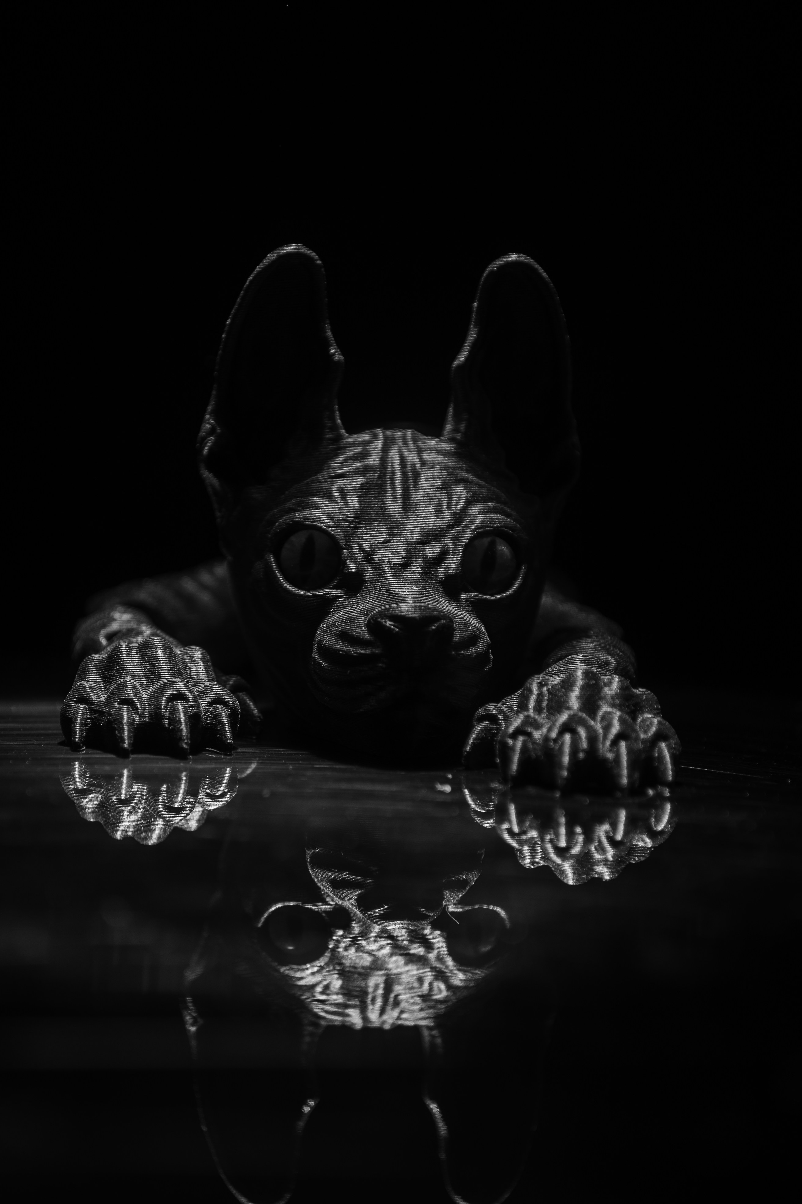 Reflection in Darkness: A Glimpse of the Silent Pup