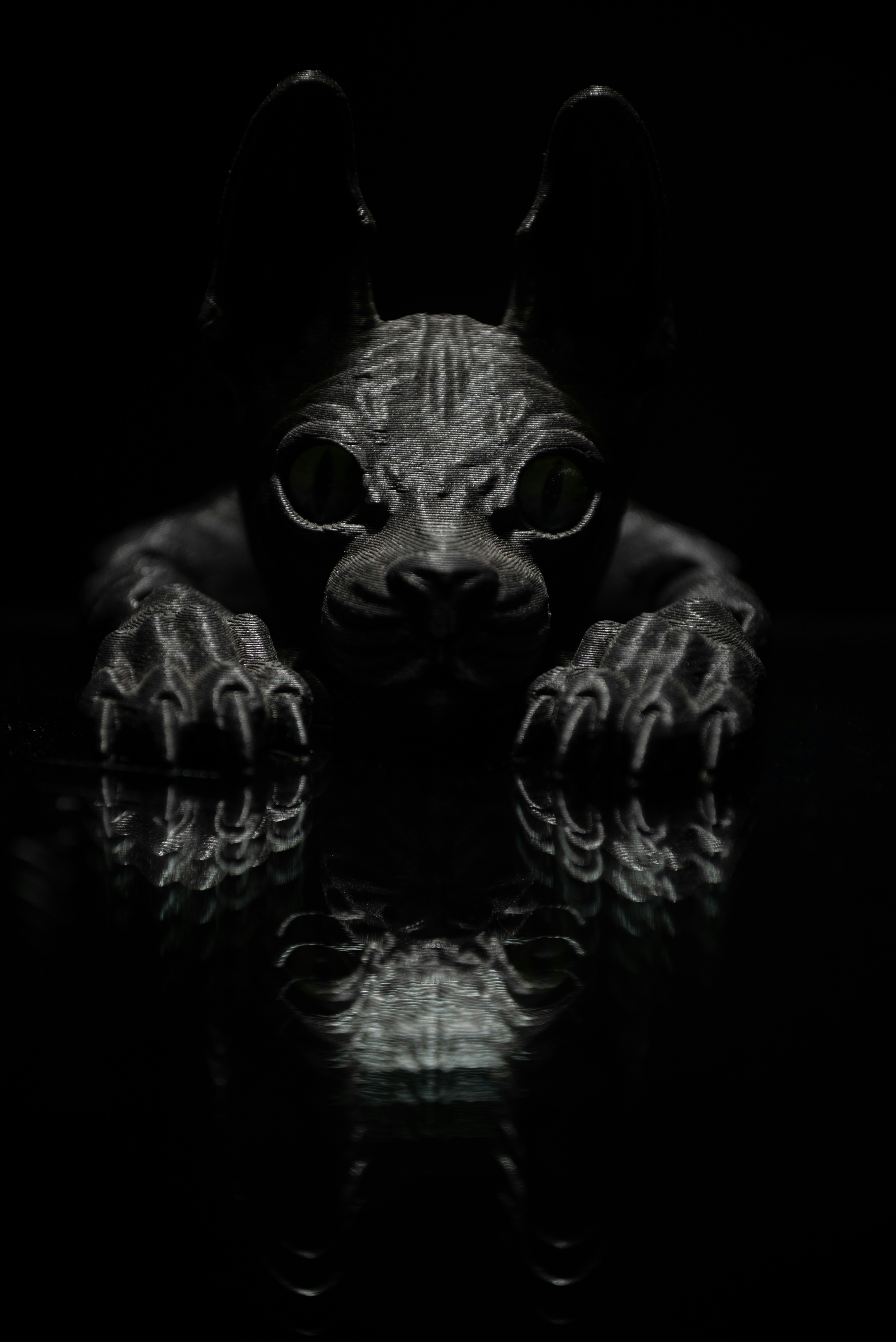 Midnight Stare: A Feral Reflection