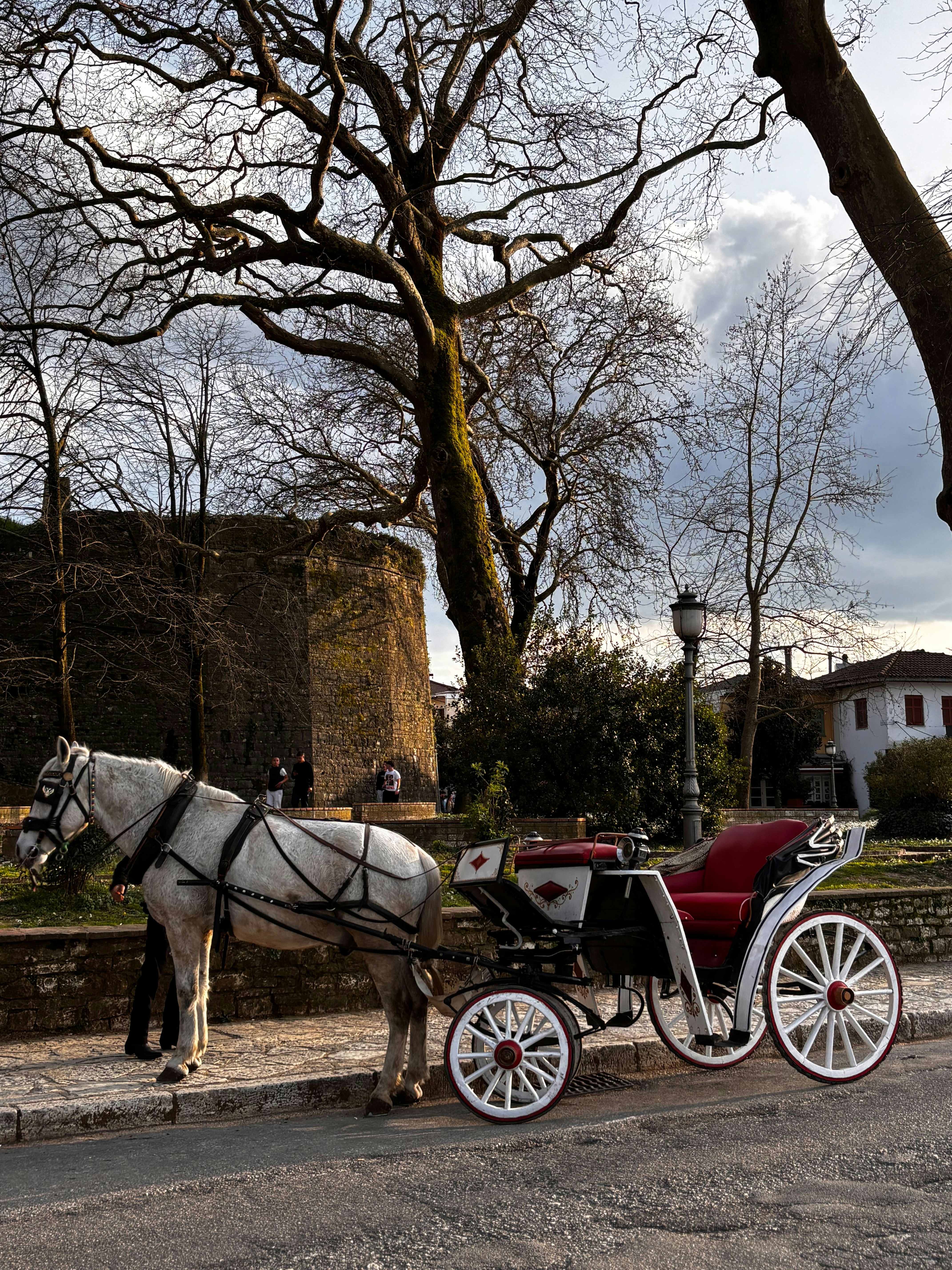 Horse-drawn carriage by a sunlit village street