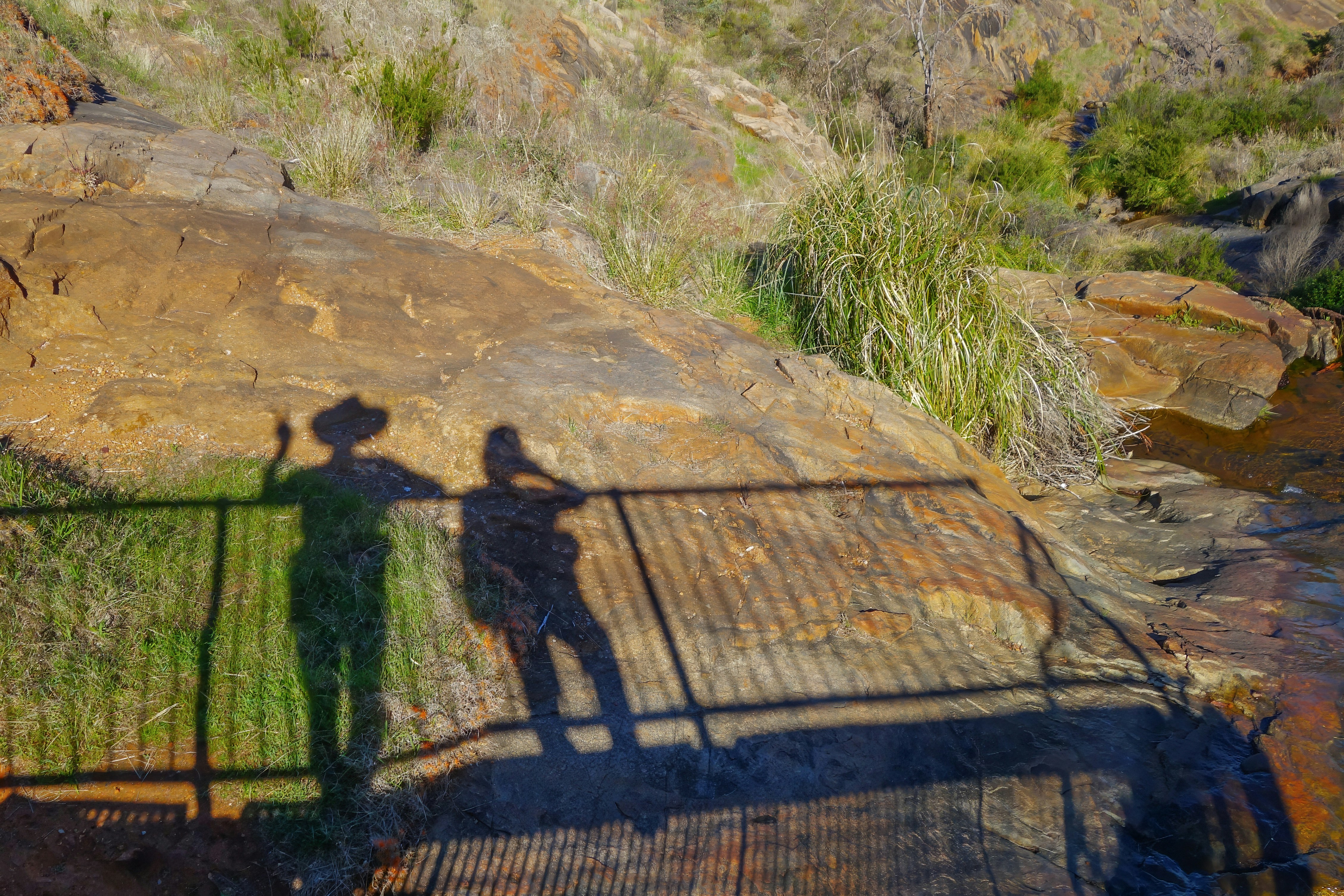 Shadows on the Railing: silhouettes Across Gravel and Grass