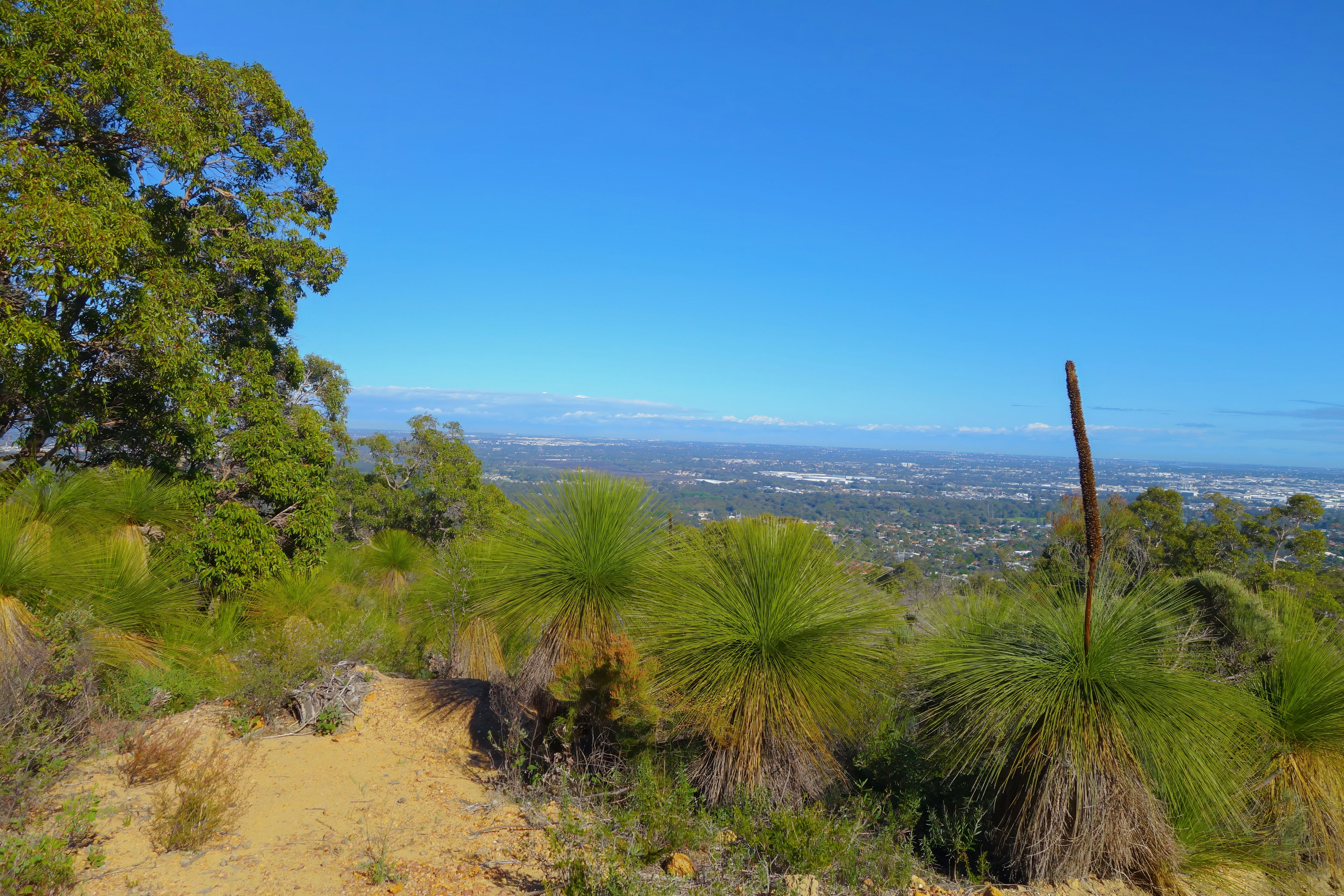 Edge of the Canyon: Desert scrub corner with distant city haze