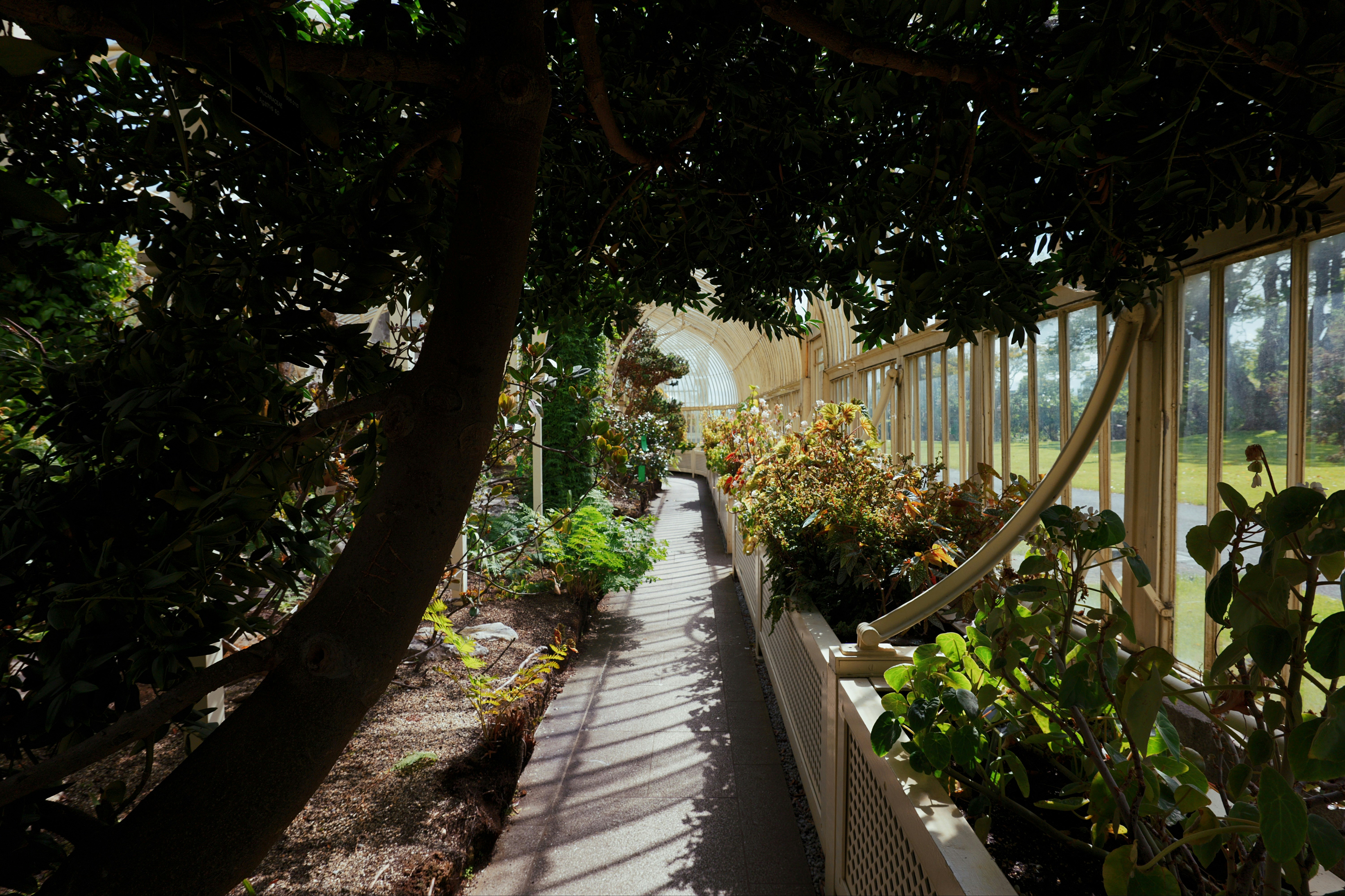 Sunlit Garden Corridor Framed by Shadowed Canopy