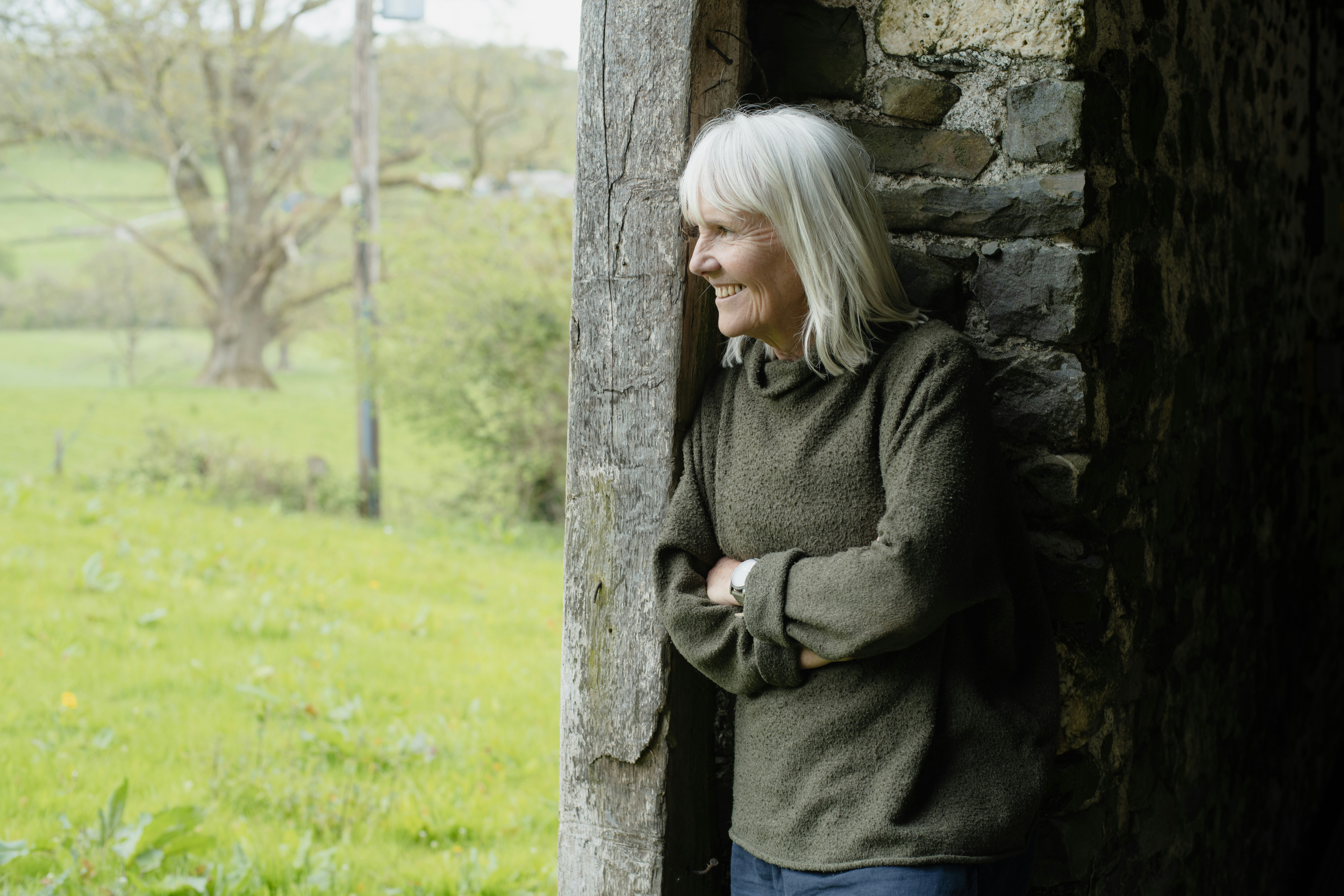 Sunlit Crack: A Quiet Portrait by the Stone Wall