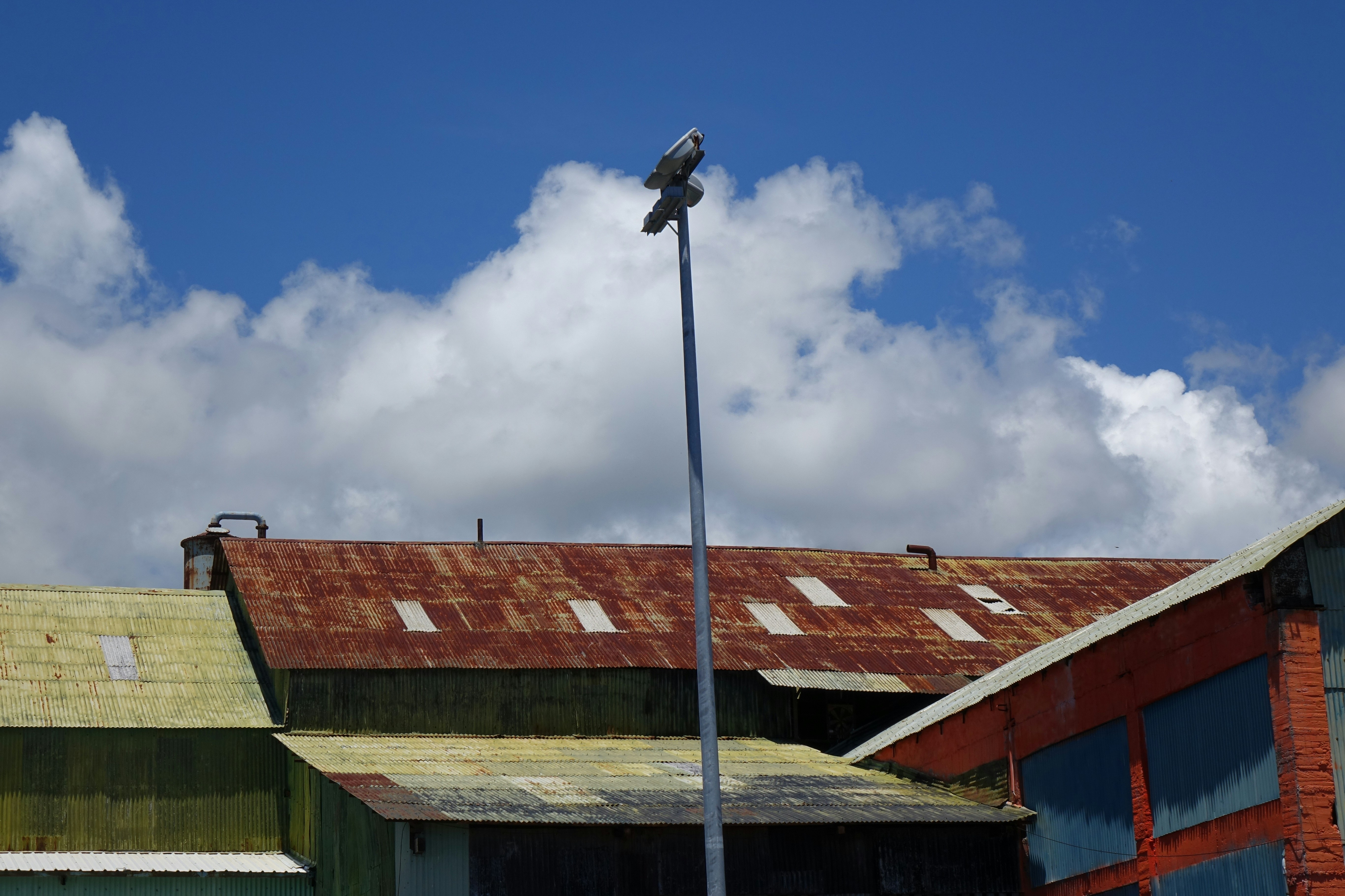 Pole-Top Sentinel Over the Weathered Roofscape