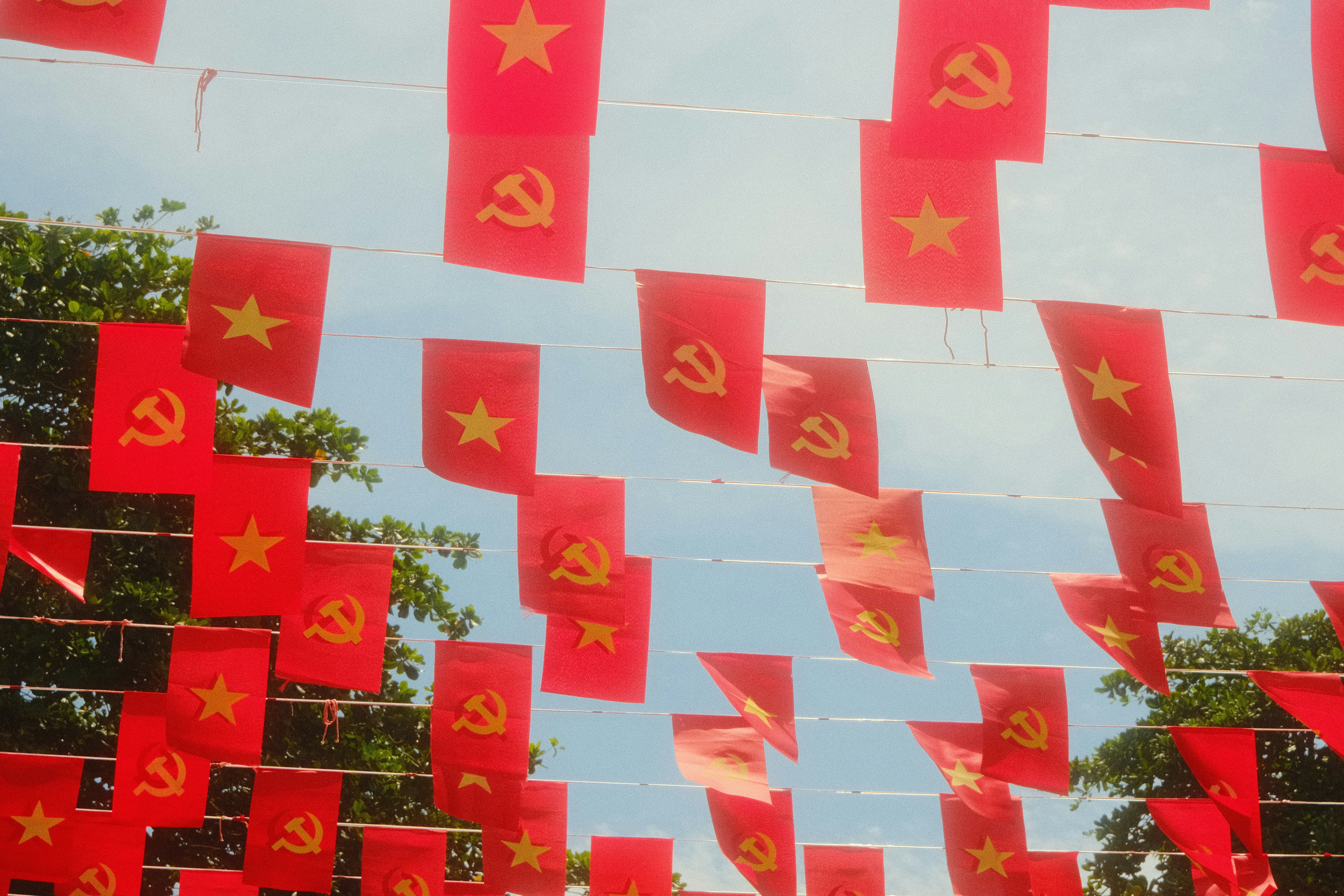 Flags over a sunny square: a sea of red banners with yellow stars and sickles