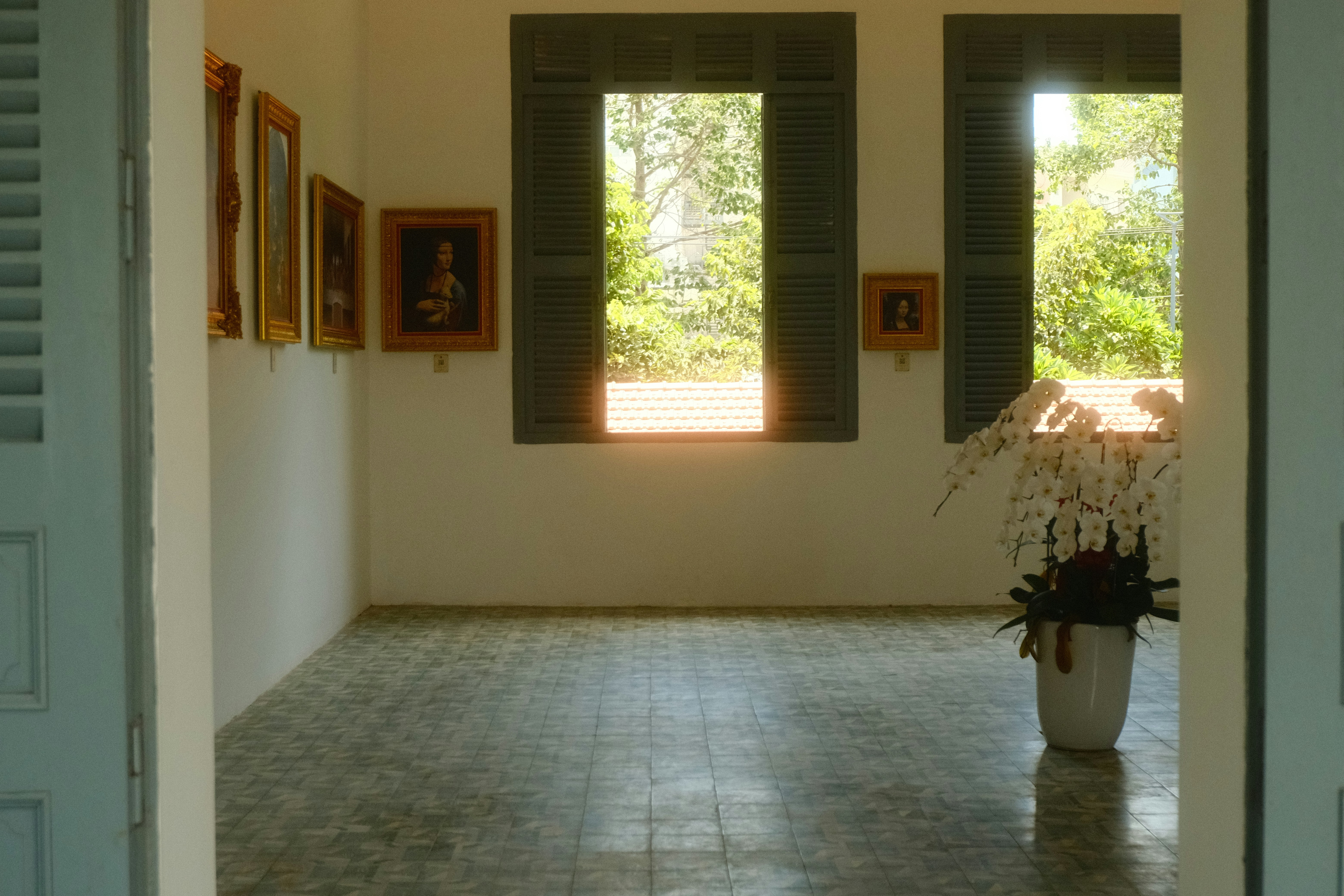Quiet Gallery: Light, Shadows, and a Vase in Bloom