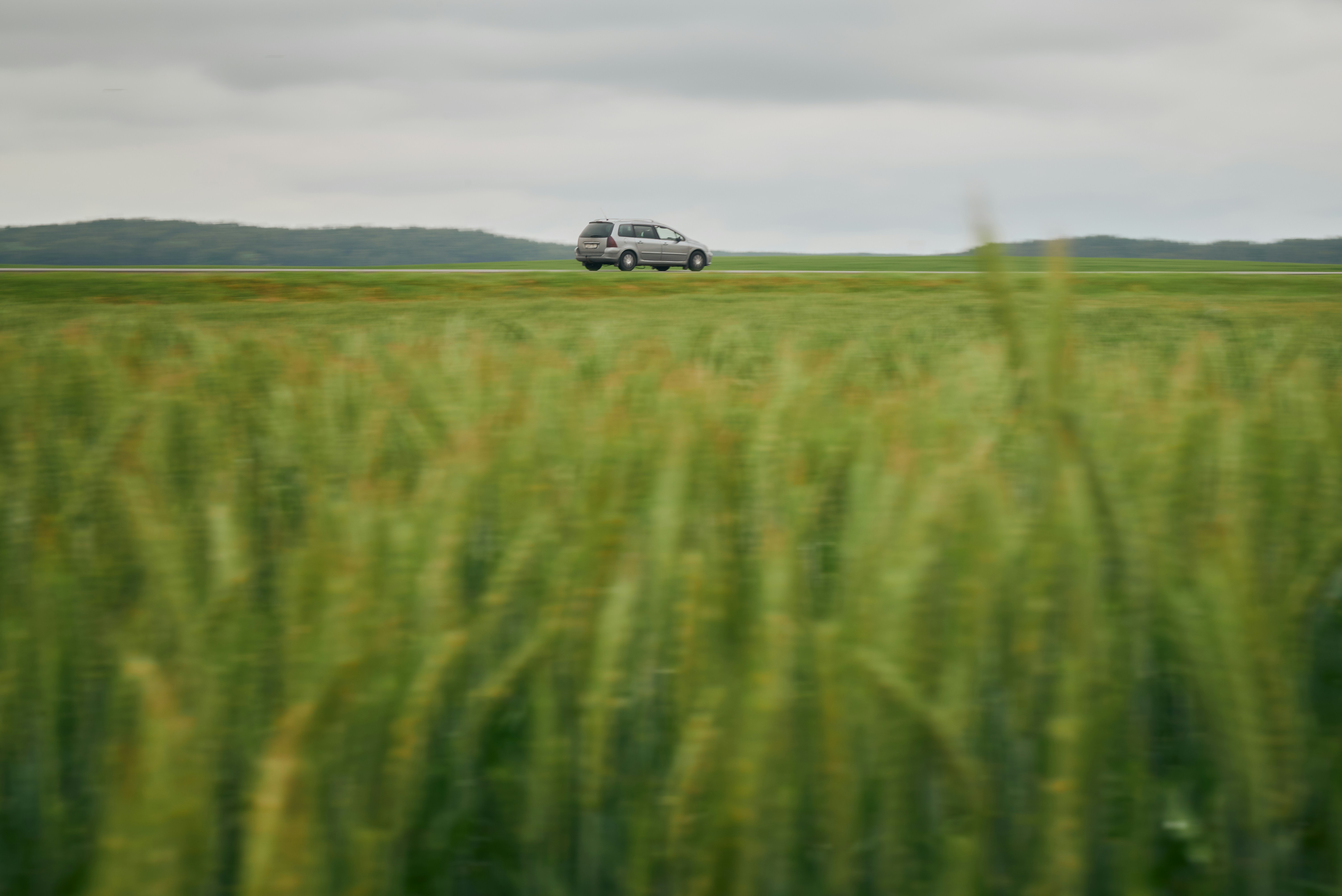 Crossing the Quiet Prairie: A Silver Hatch on a Windy Plain