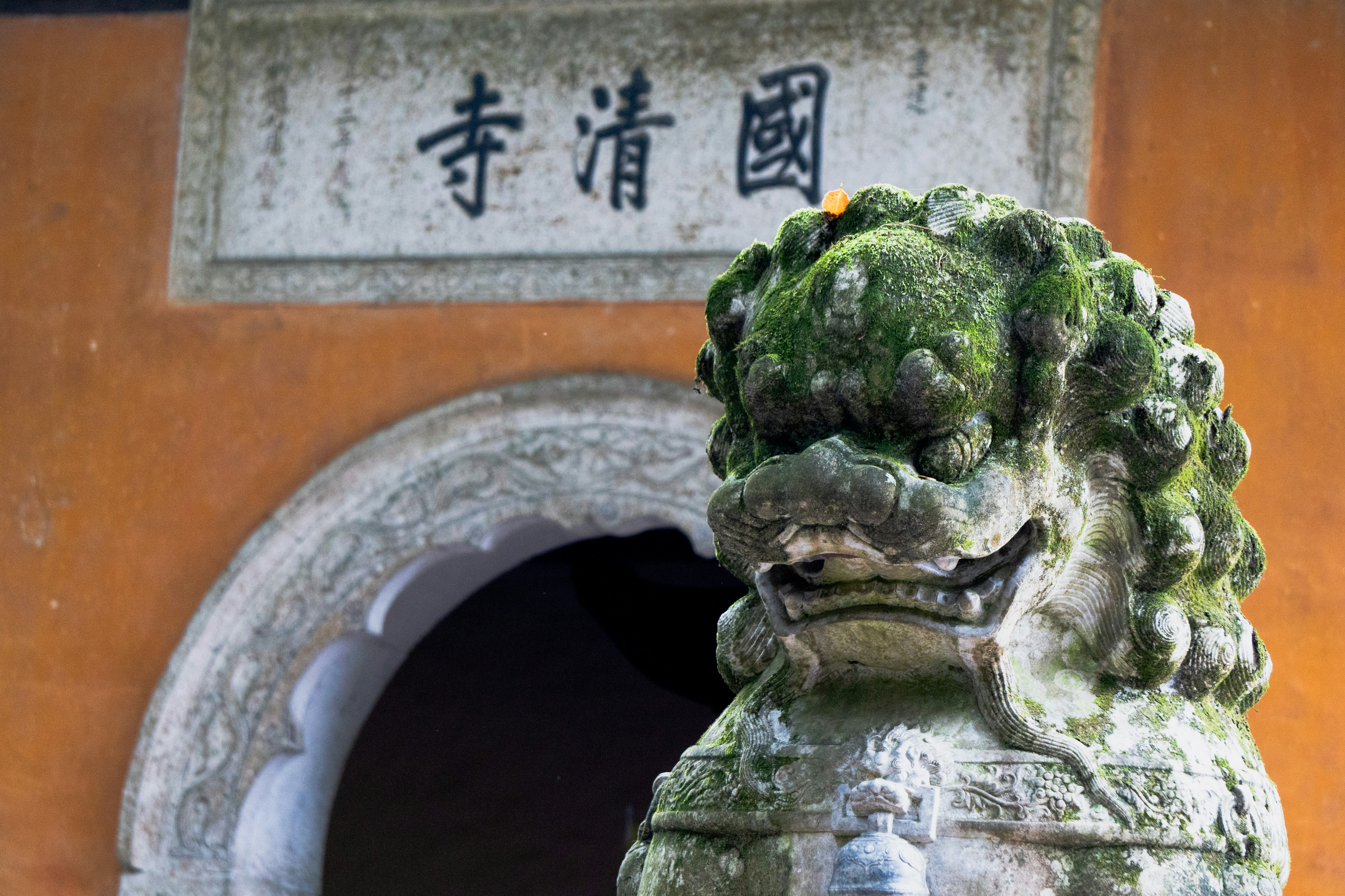 Stone Guardian in Front of a Temple Gate