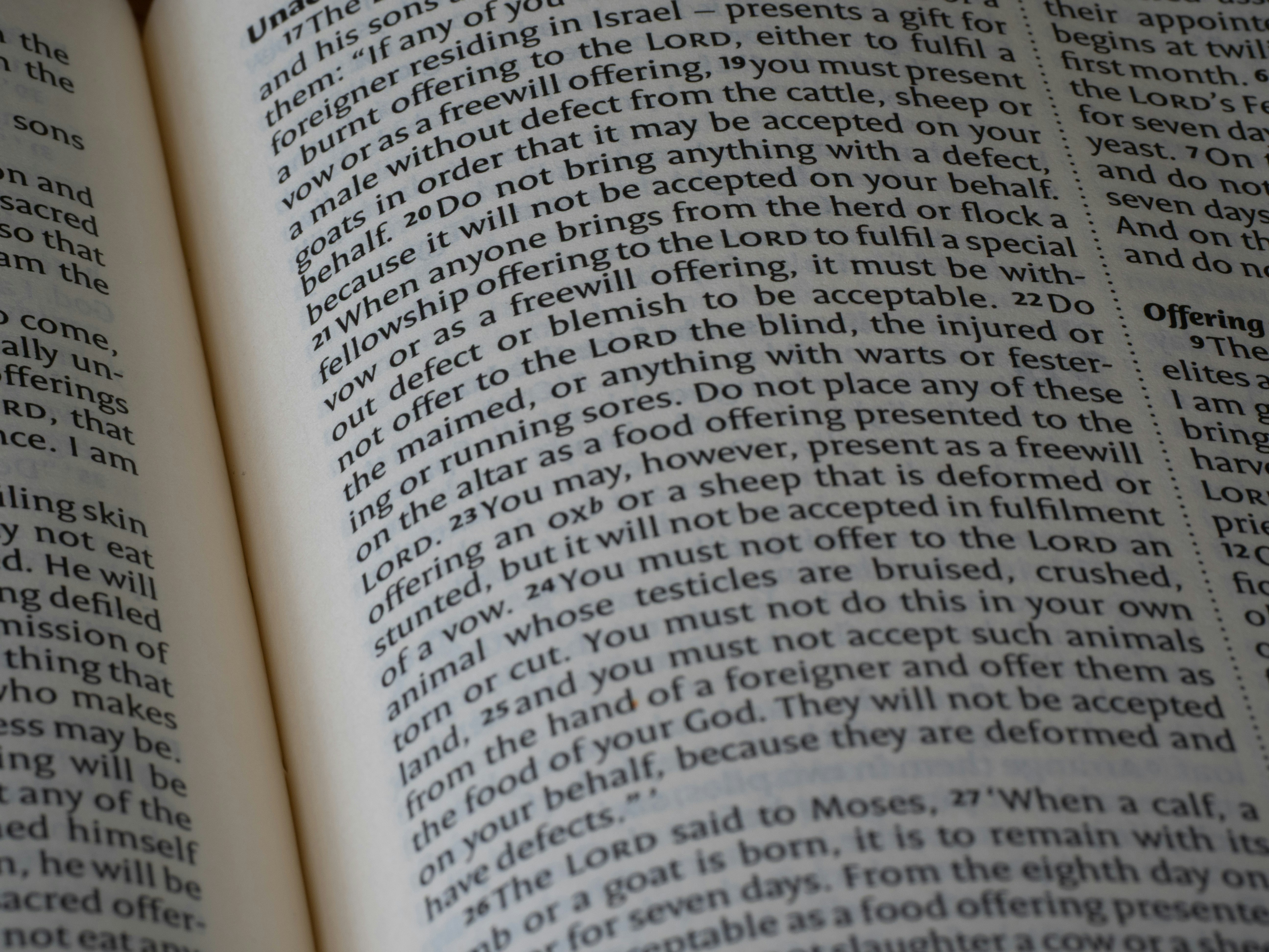 Close-Quarter Page Portrait: A Journal of Text in Focus