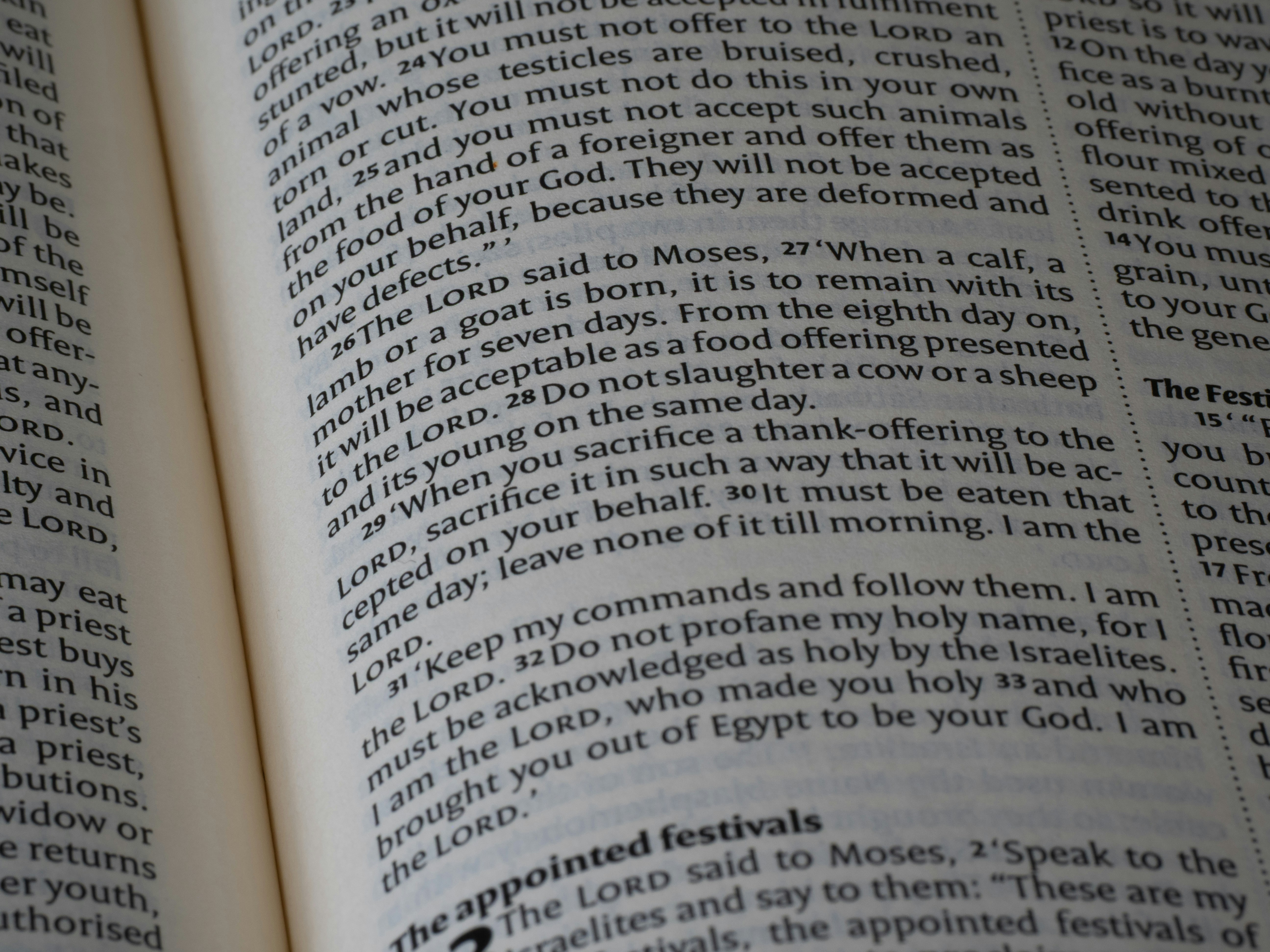 The Book of Leviticus