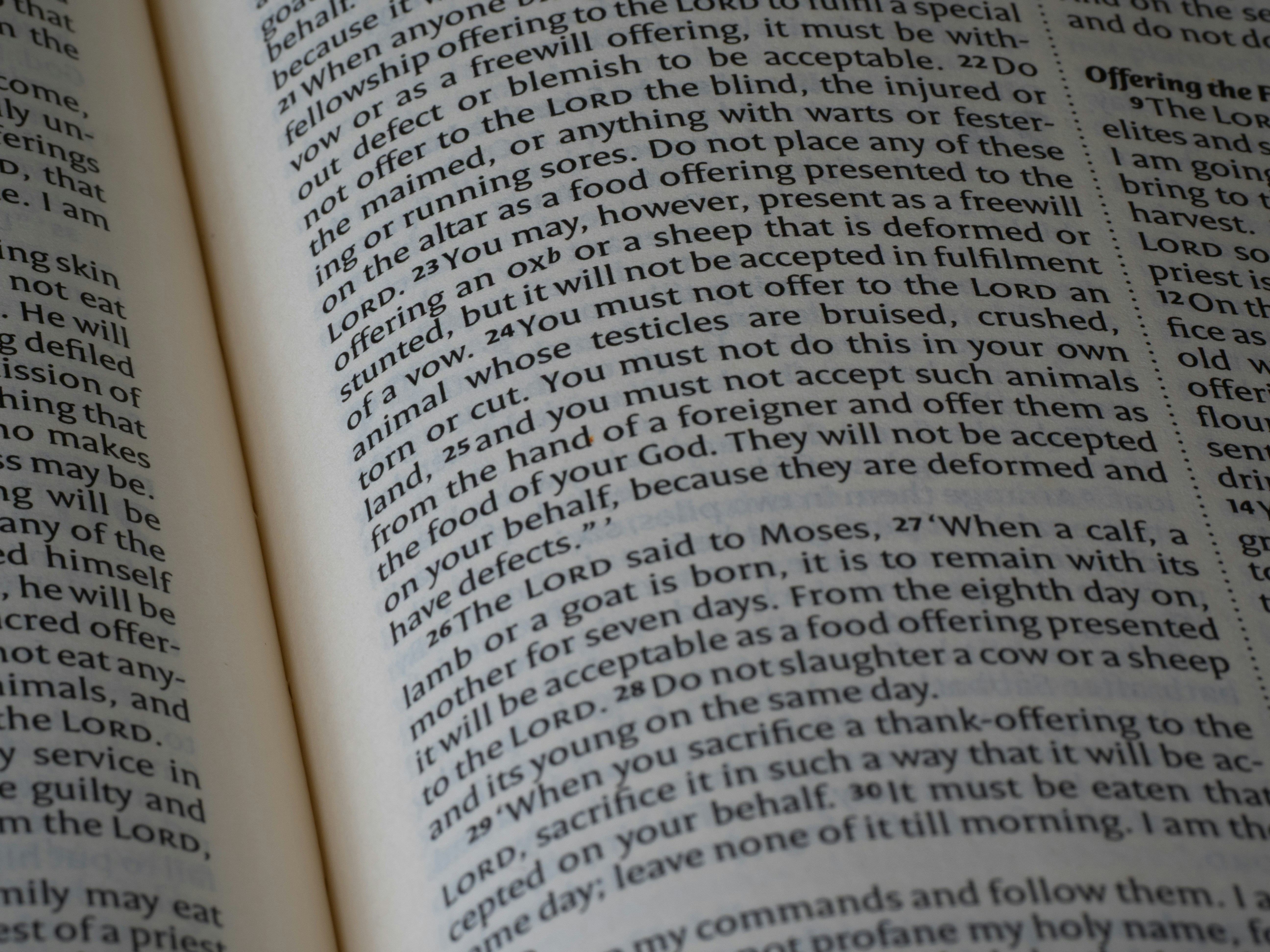 The Book of Leviticus