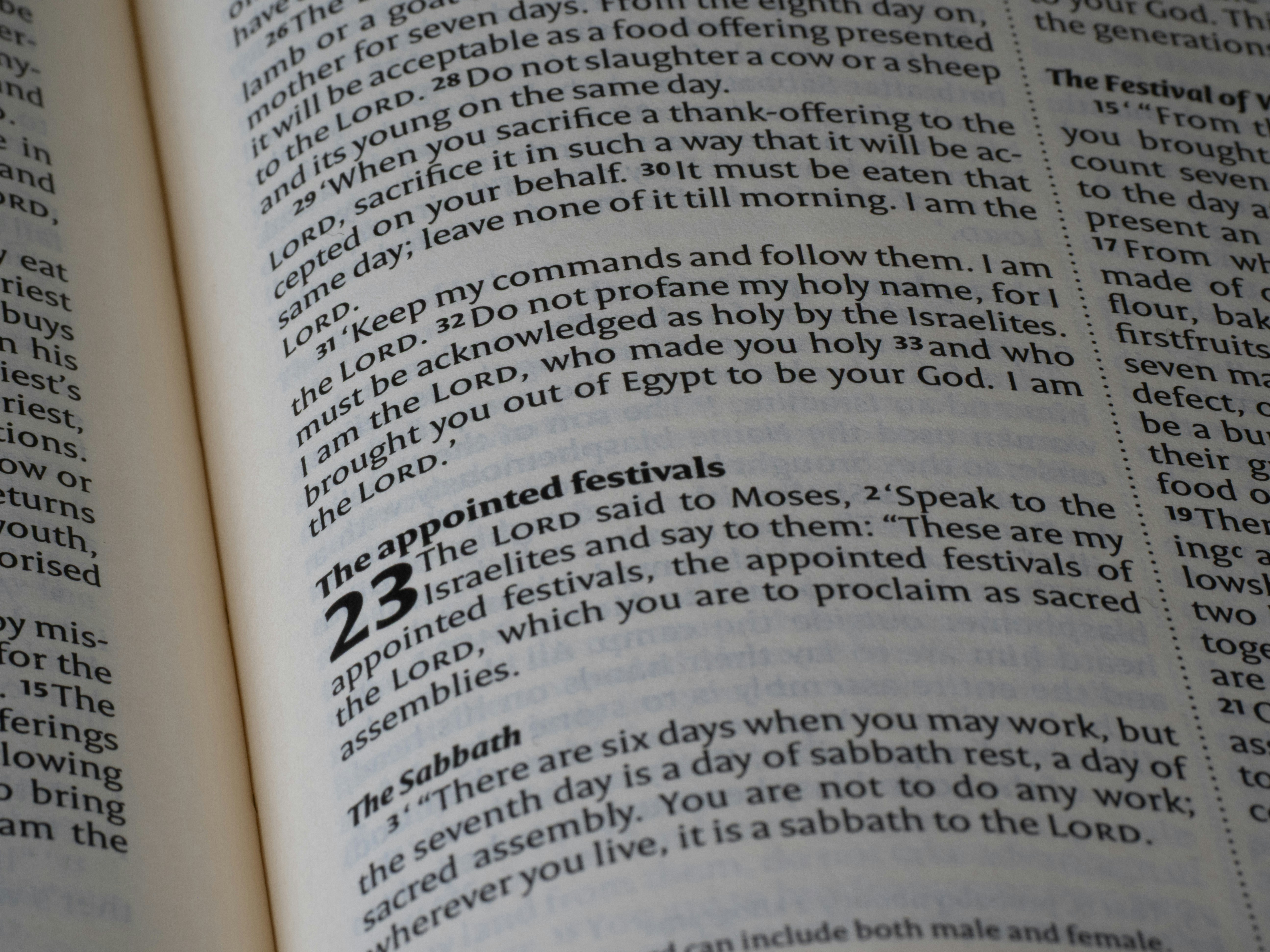 Scripture in Focus: A Quiet Moment with the Text
