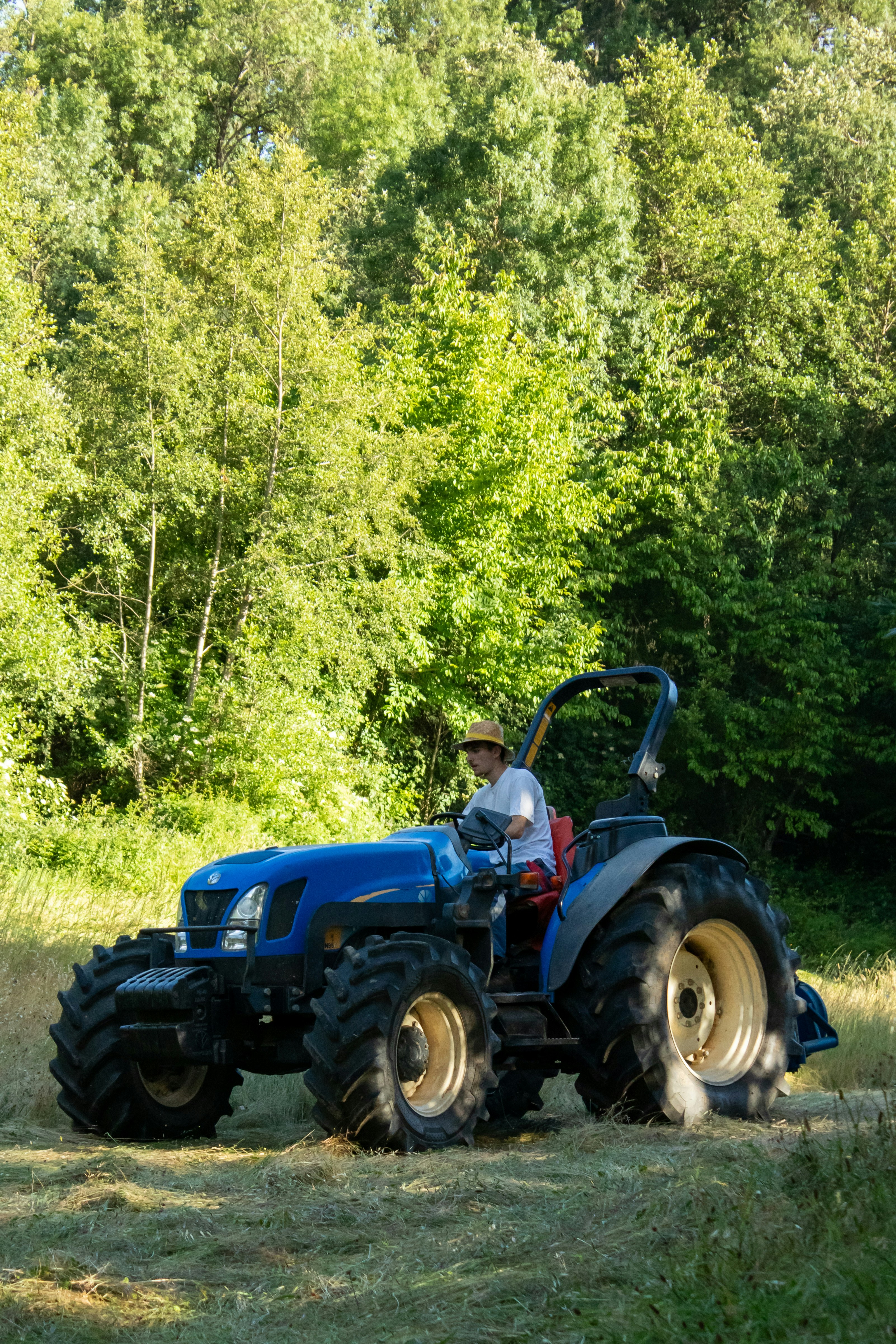 Blue Tractor in a Sunlit Clearing