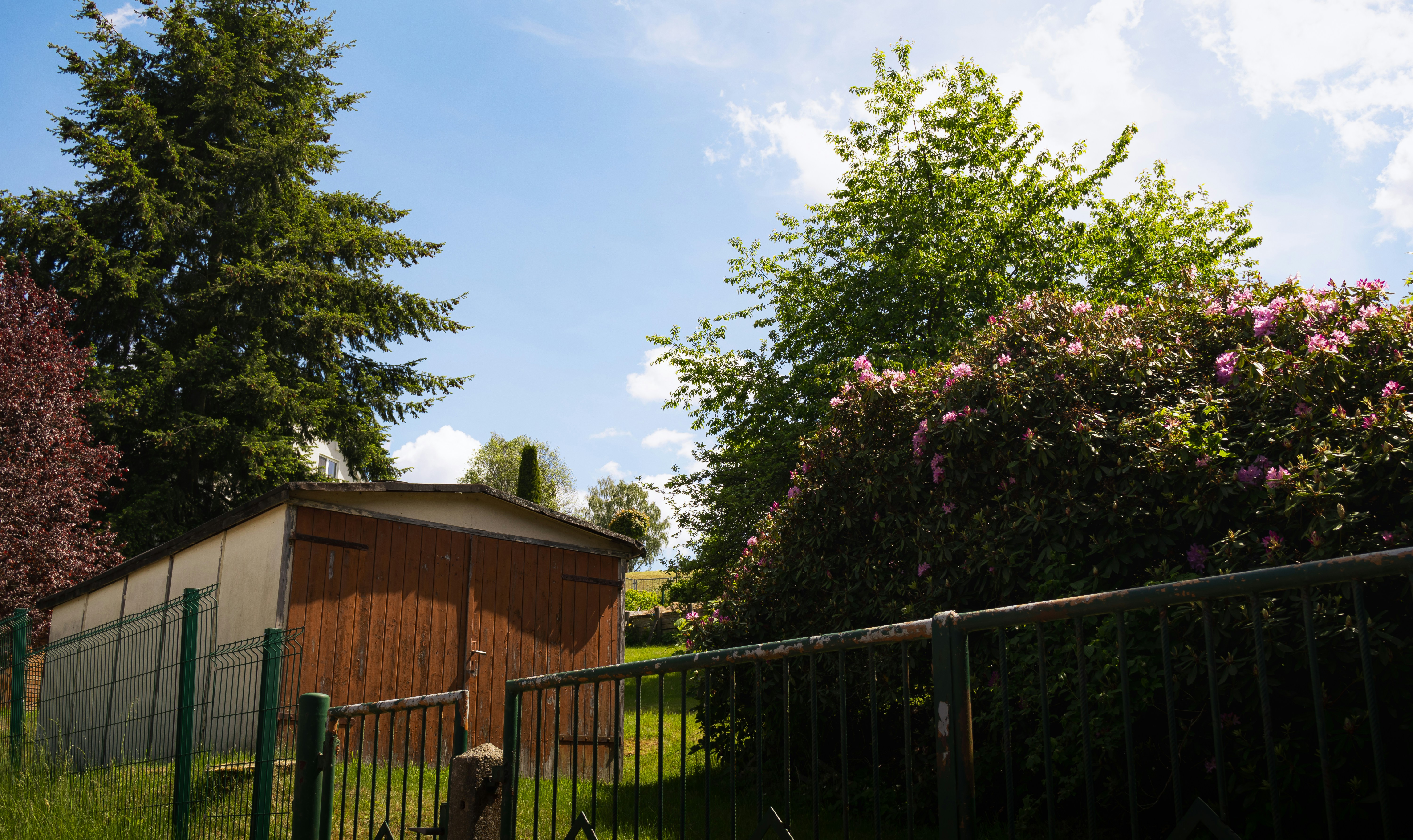 Wooden shed behind a fence with trees and flowering bushes.
