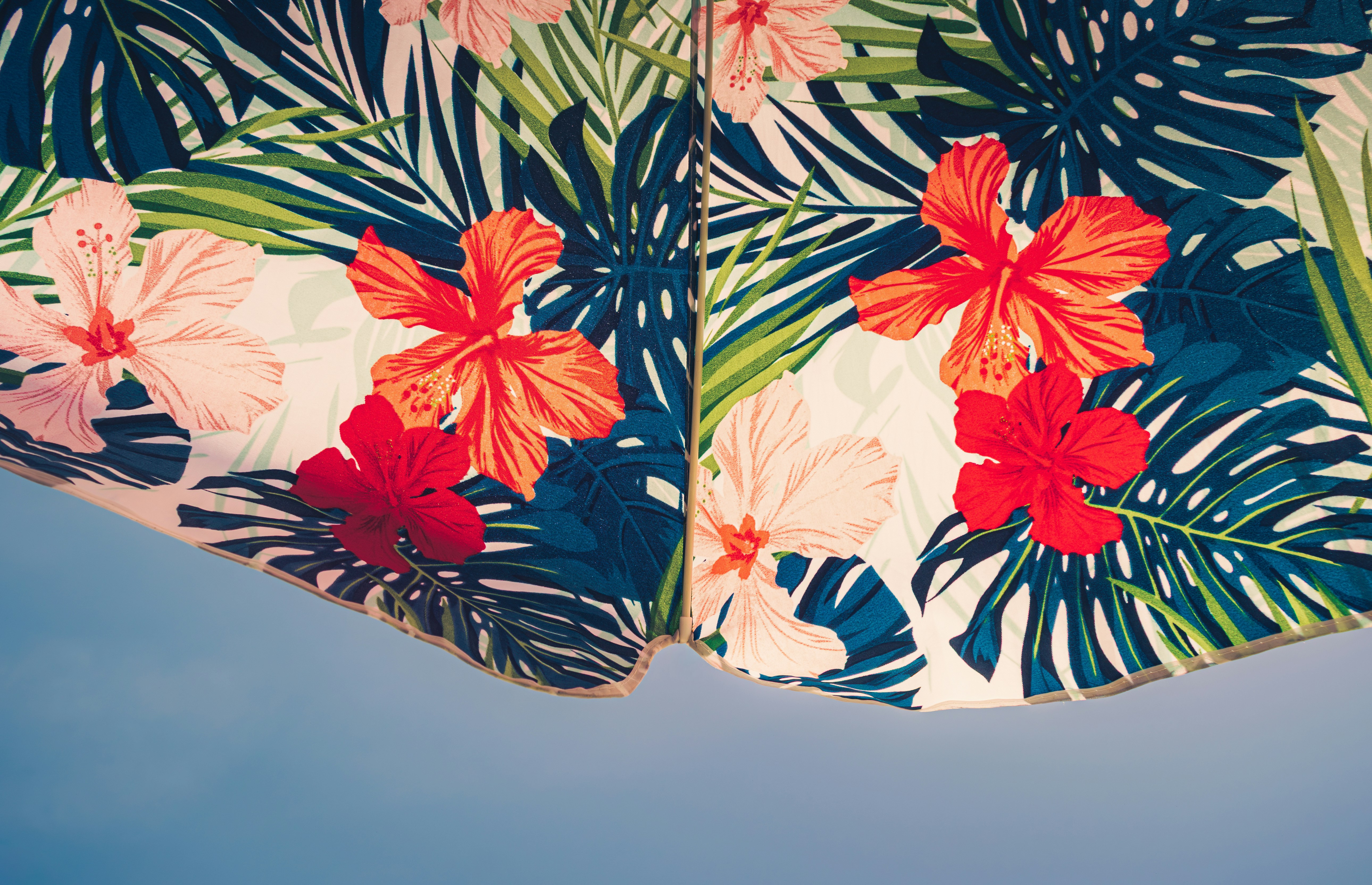 Vibrant Tropical Canopy Banners Rippling Over the Edge
