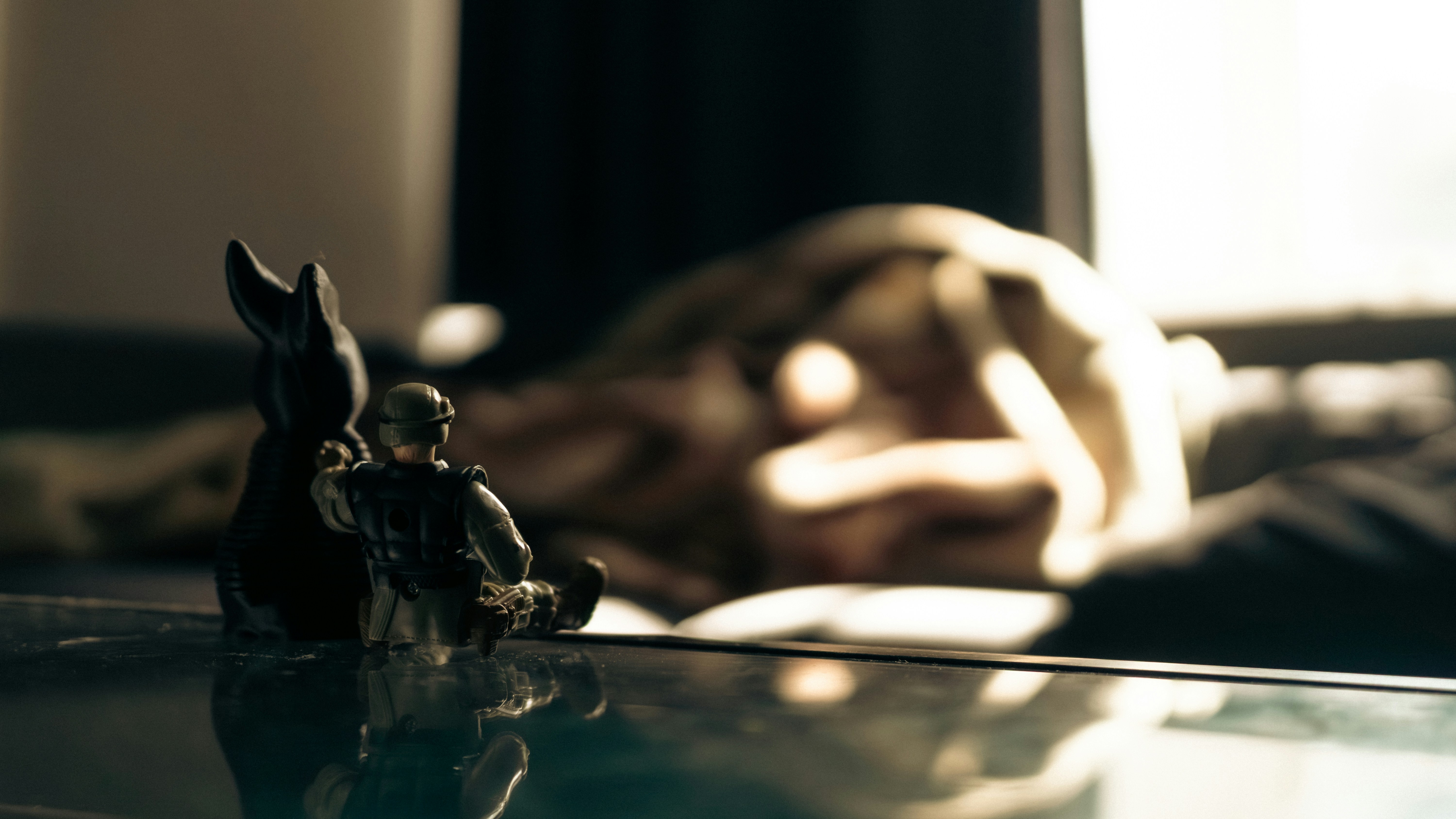 Soldier and rabbit figurines on a reflective surface, person blurred.